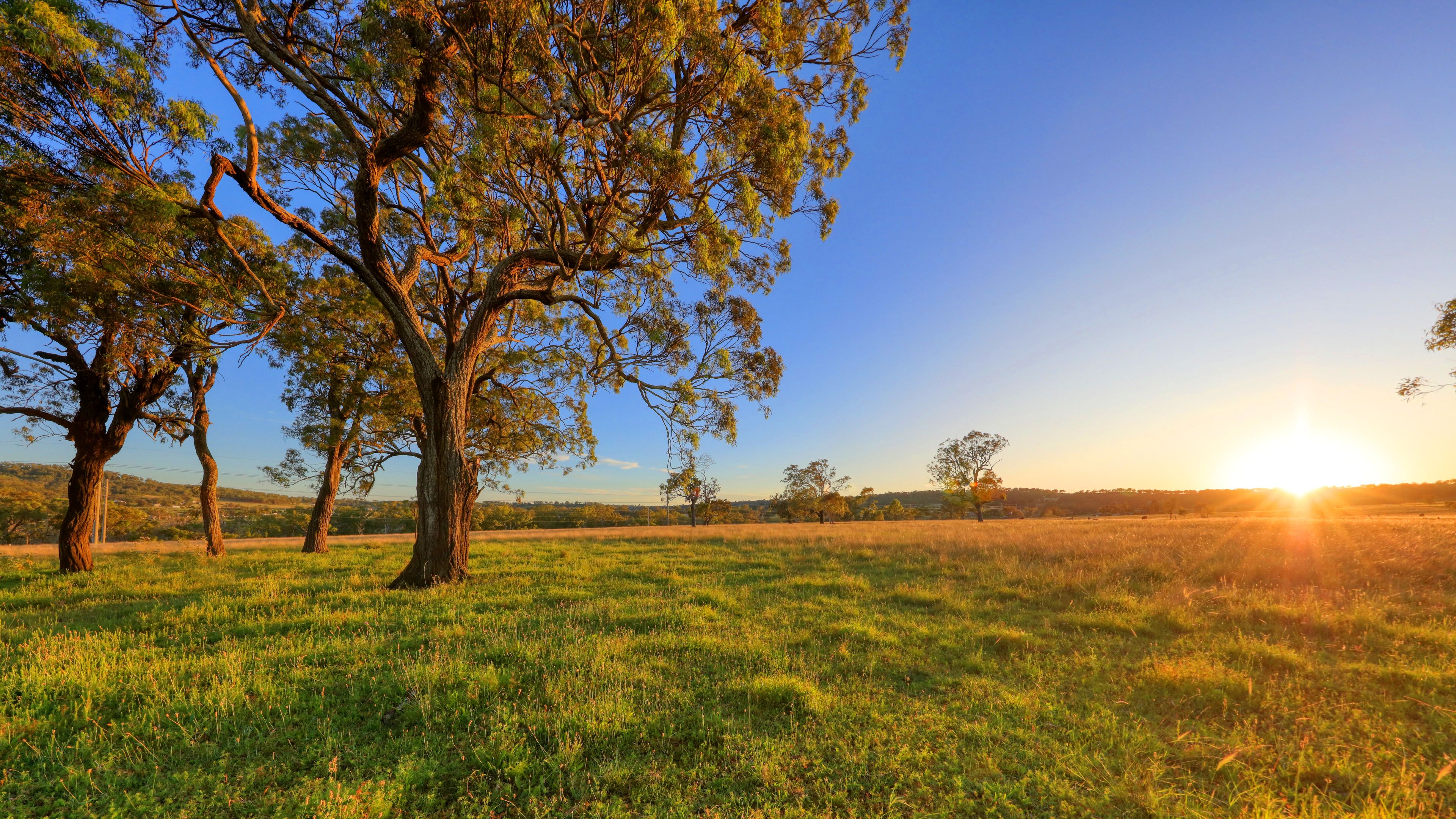 Ray White Rural Toowoomba