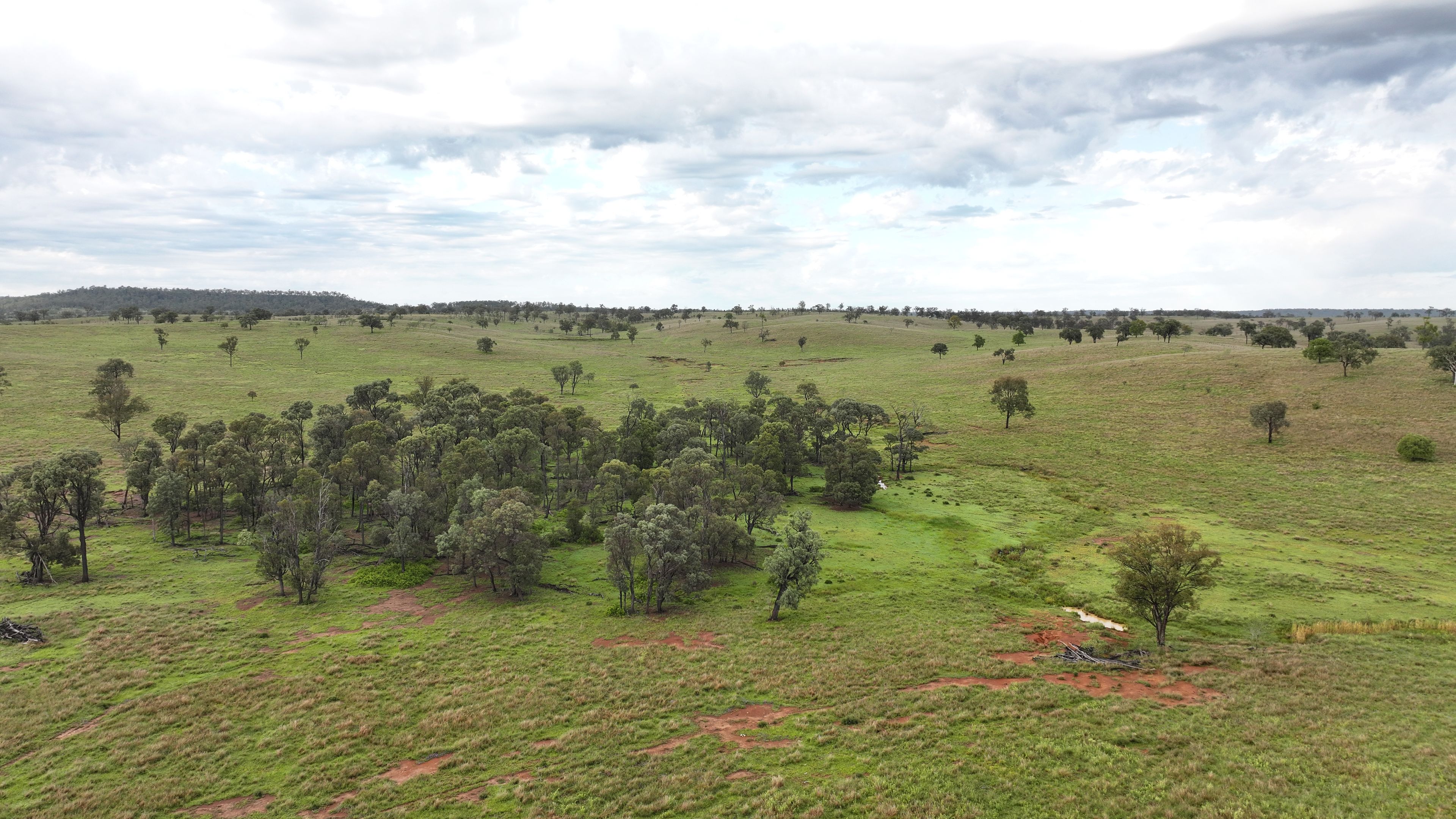 "Echo Hills" - "Echo Hills" 2945 Beeron Road, Mundubbera, QLD 4626 ...