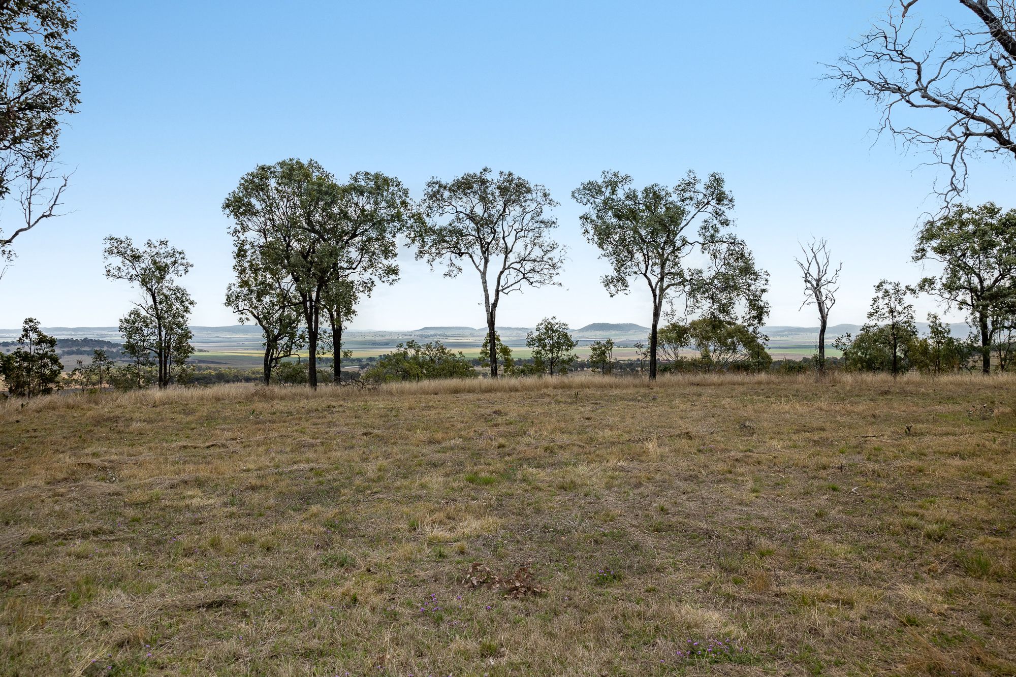 154 Moar Road, Pilton, QLD 4361 - Sold Land - Ray White Toowoomba Real ...