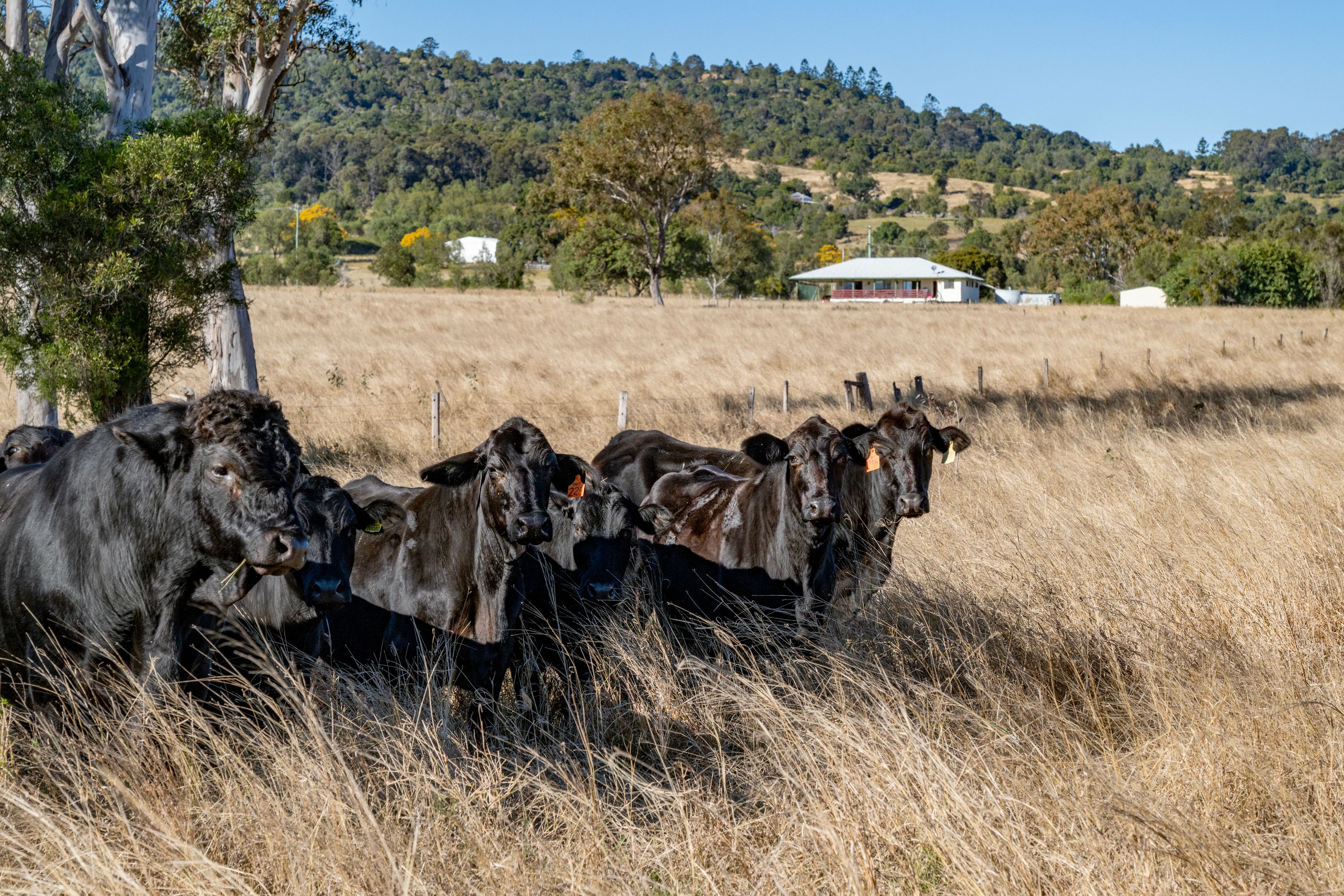 455-515 Haigslea Malabar Road, Marburg, QLD 4346 - Sold Commercial ...