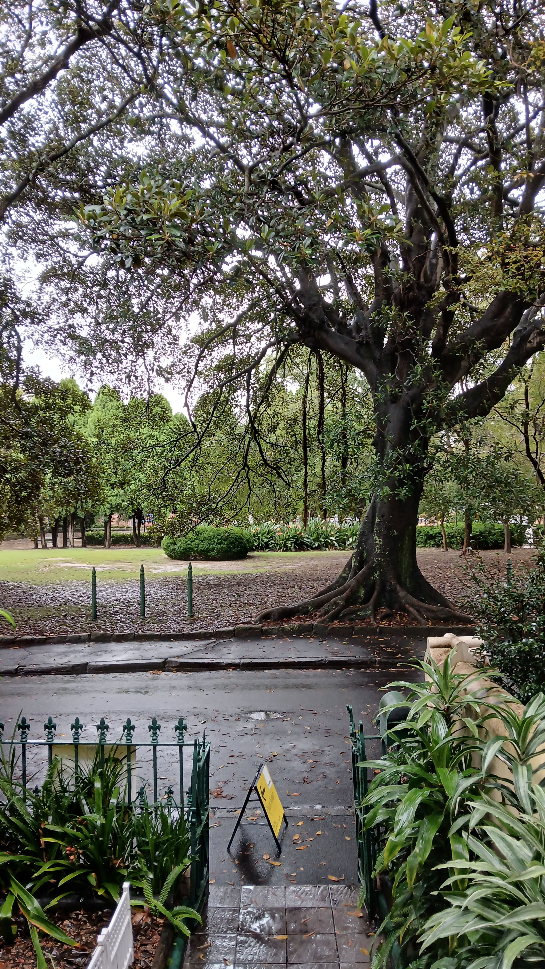 3/40 The Avenue, Randwick, NSW 2031 - Leased Studio - Ray White Park ...