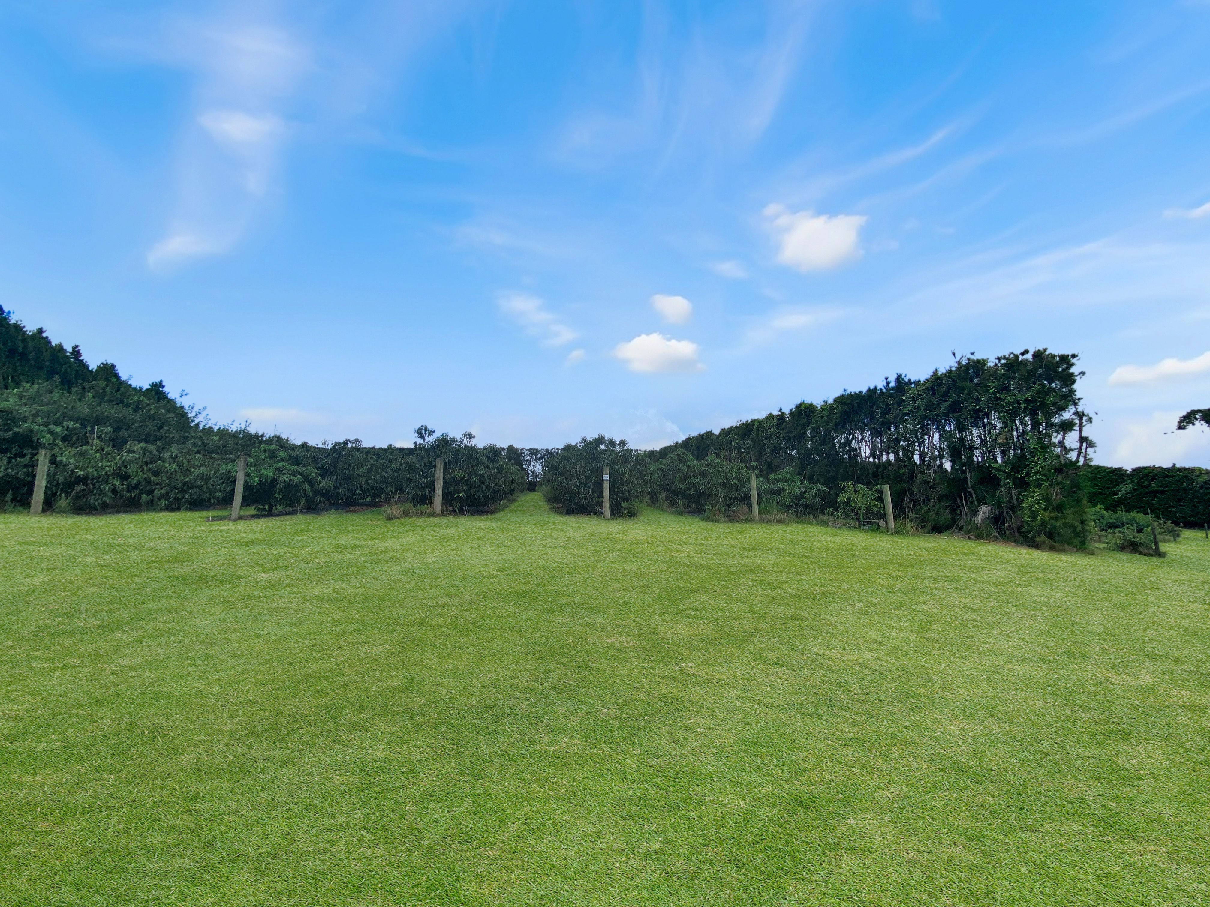 565 Kerikeri Road, Kerikeri, Far North District 0230 - Sold Lifestyle ...