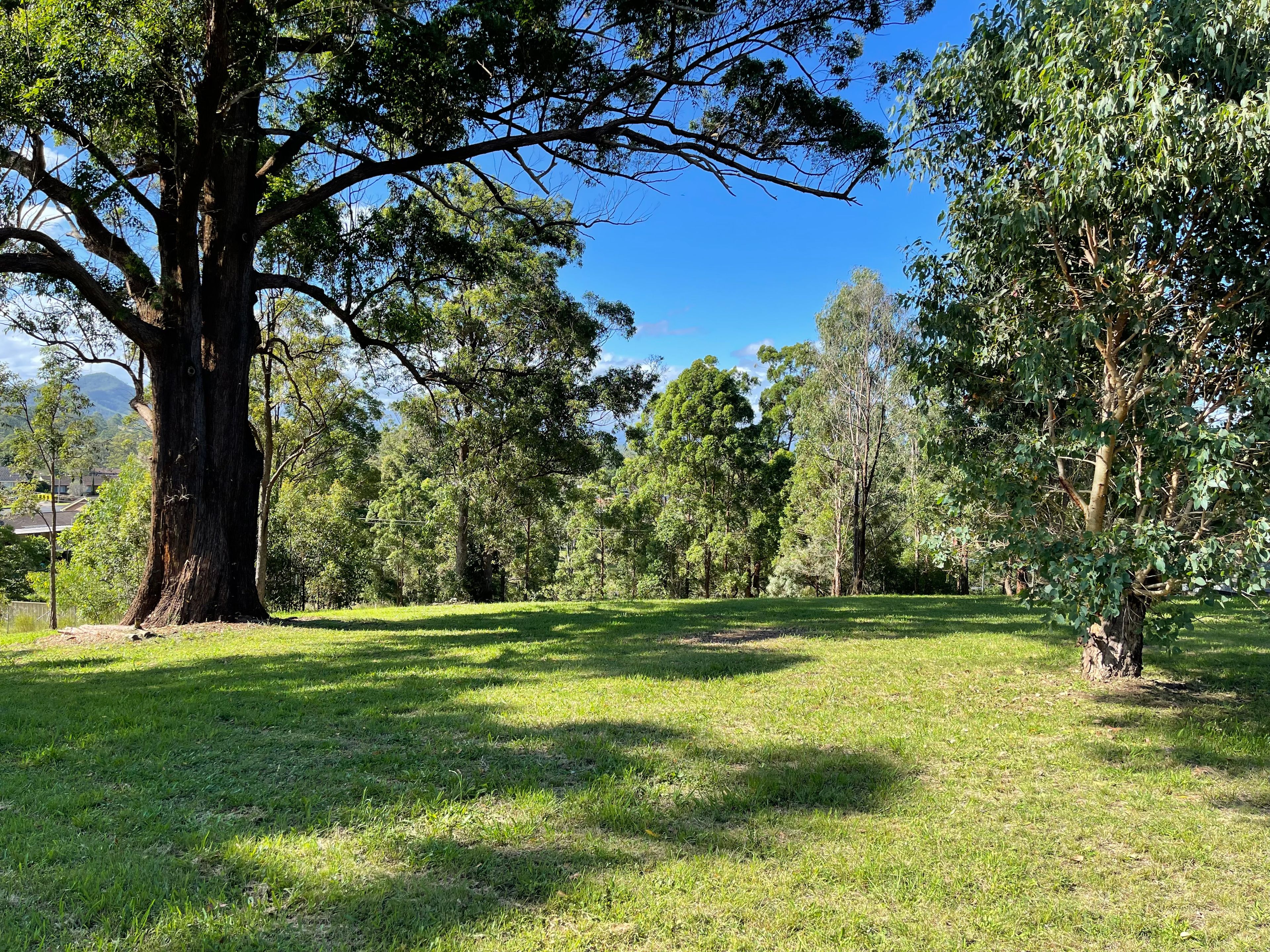 10 Adelaide Close, Wingham, NSW 2429 - Sold Land - Ray White Manning Valley