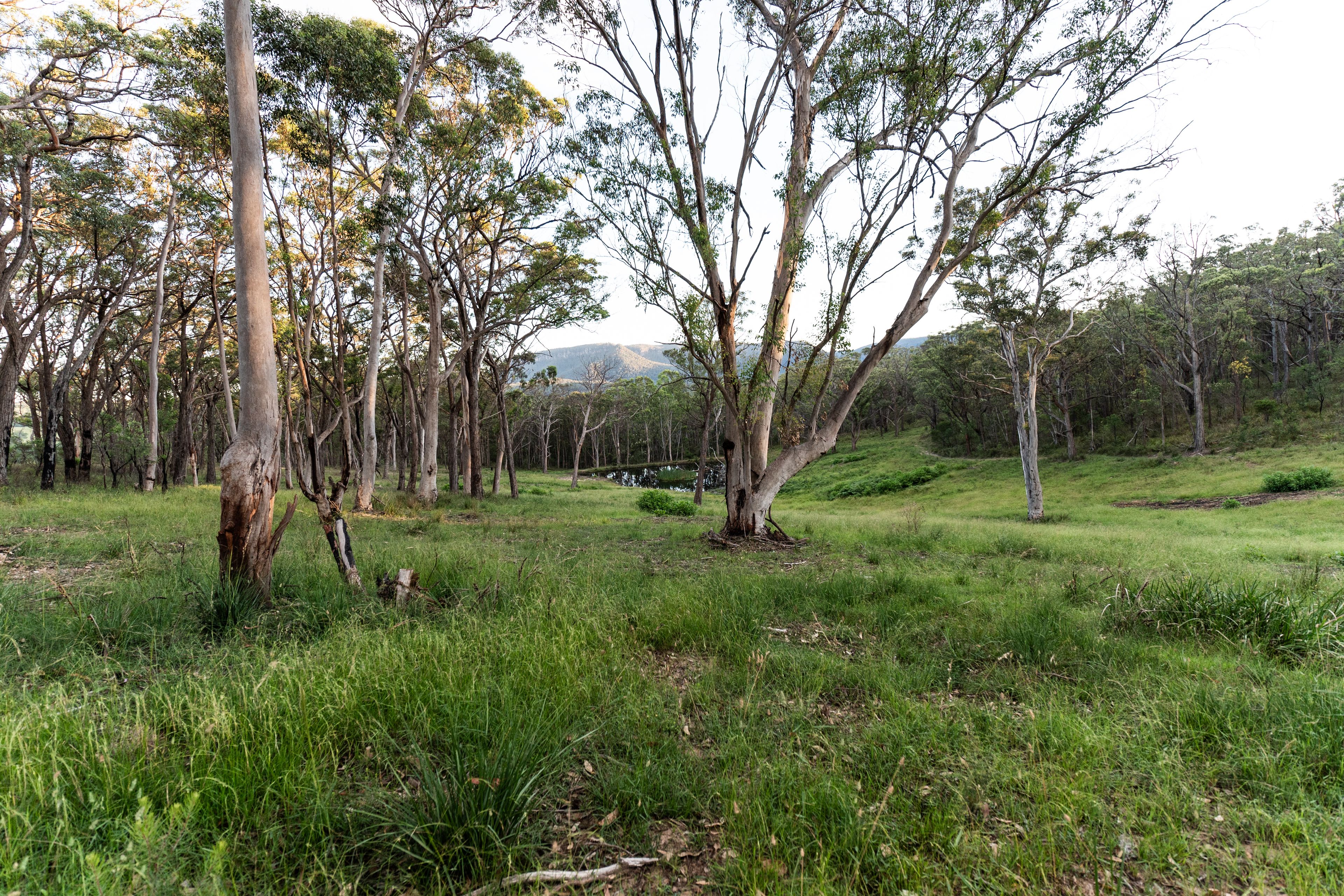 1157 Megalong Road, Megalong, NSW 2785 - Sold Land - Ray White Upper ...