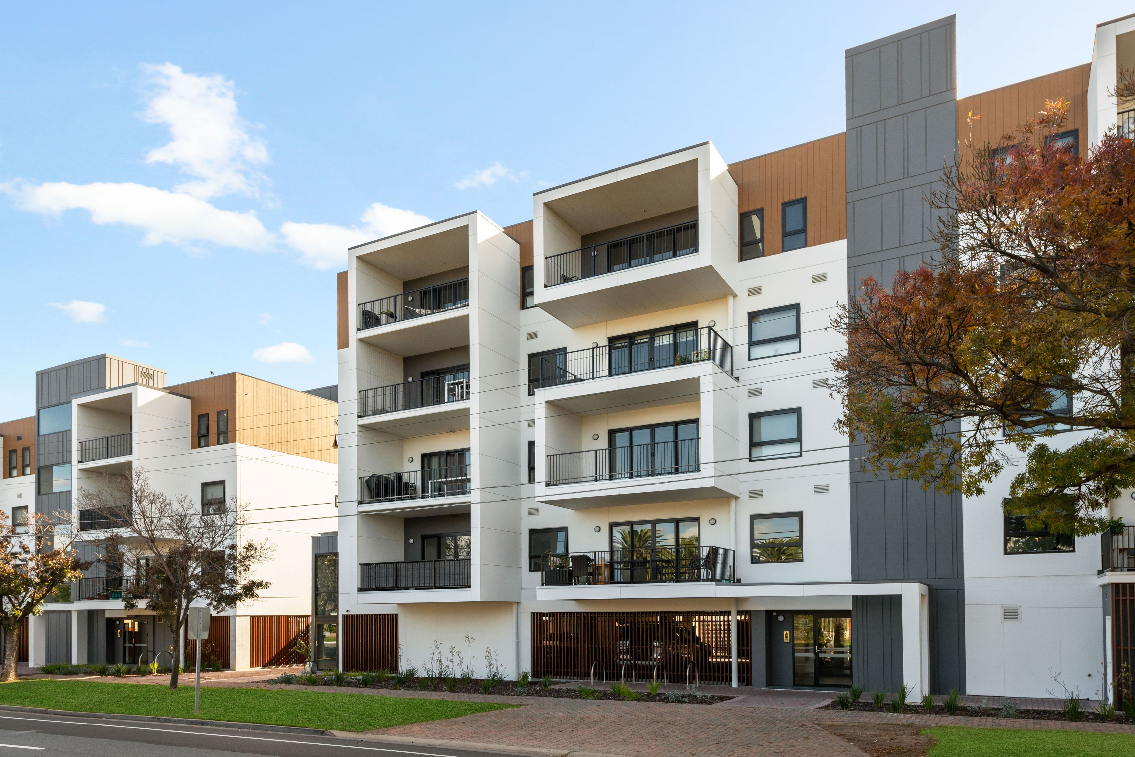 Ray White Prospect