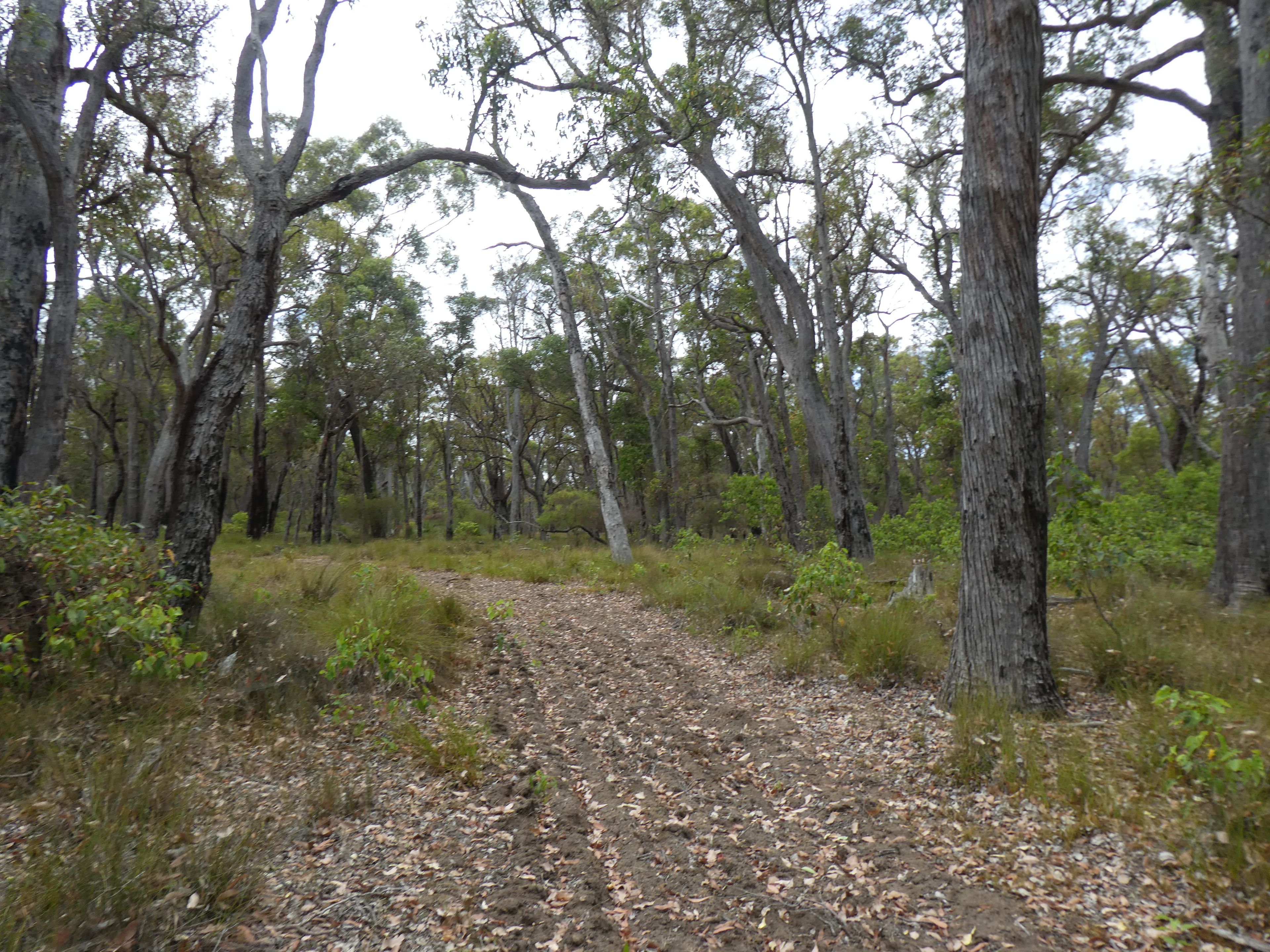 Lot 350 Muir Highway, Rocky Gully, WA 6397 - Sold Rural Lifestyle ...