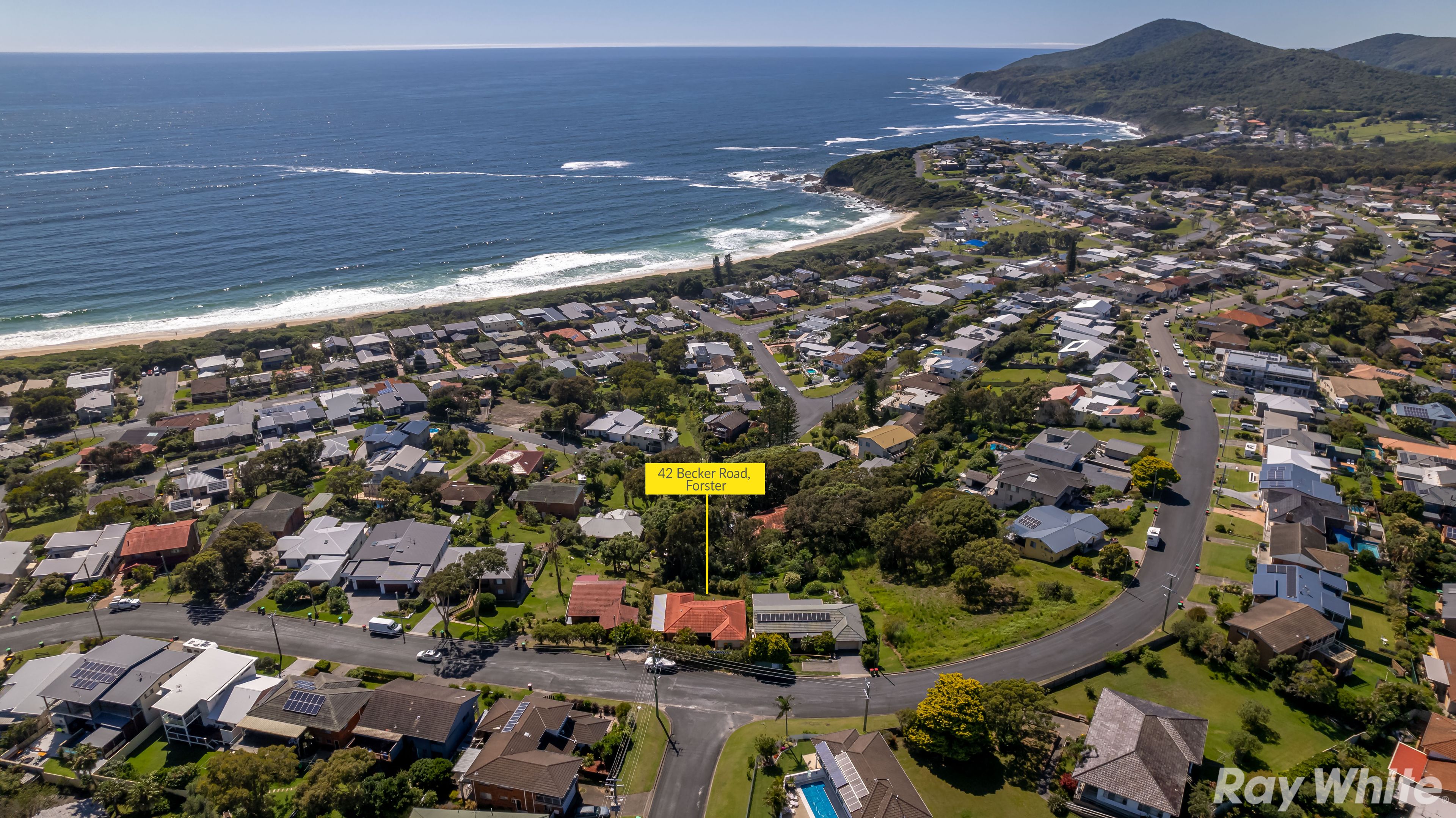 Ray White Forster Tuncurry