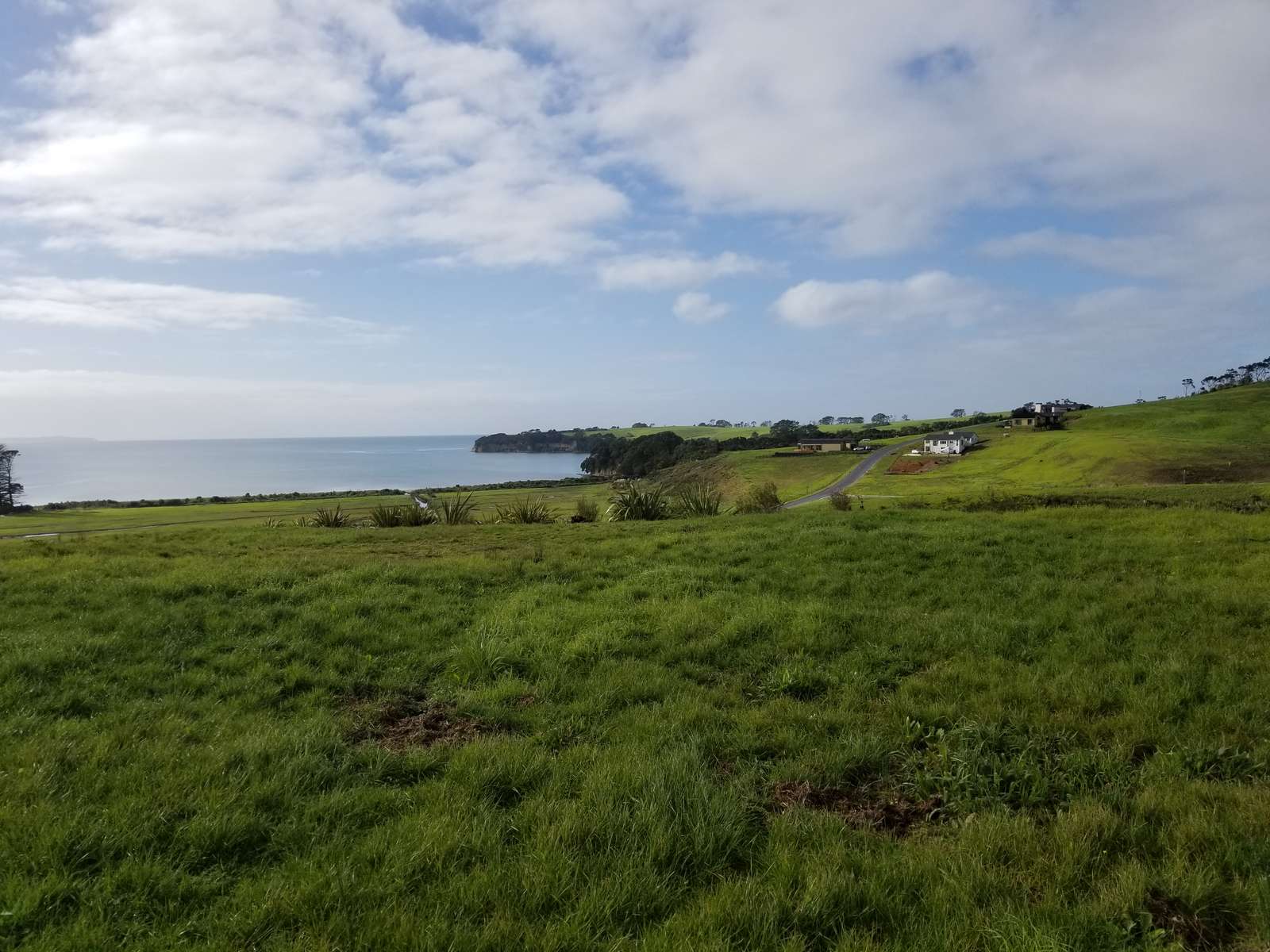 19 Rongoa Road (Lot 43), Redvale, Rodney | Real Estate | Ray White New ...