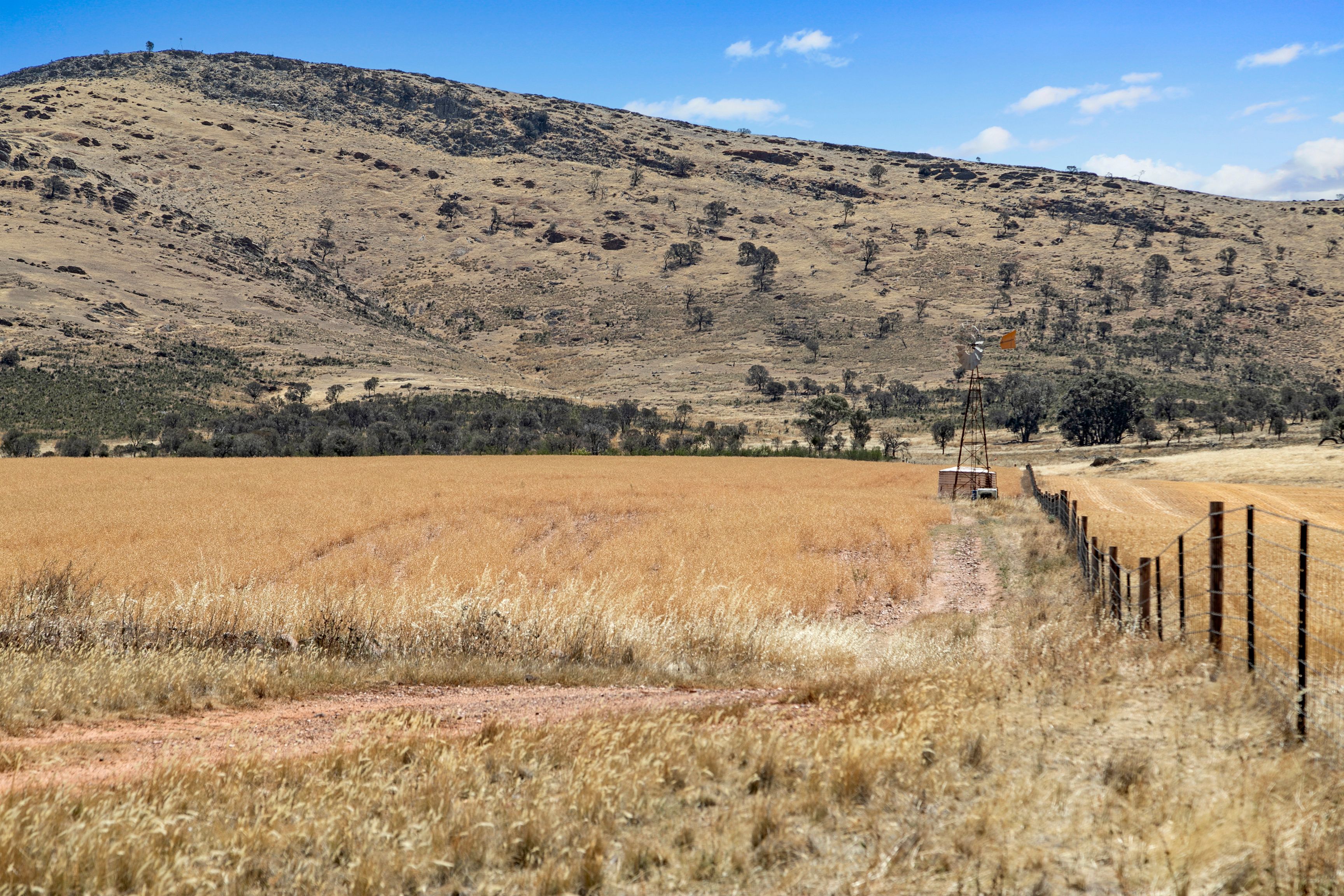 'Sunny Rise' Booleroo Road, Pekina, SA 5431 - Sold Rural Mixed Farming ...