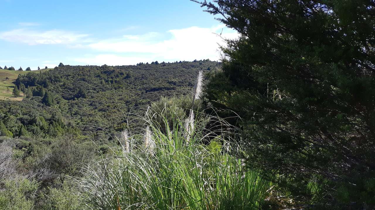 KAIKOHE SURROUNDS Northland 0000, Kaikohe Surrounds, Northland | Real ...