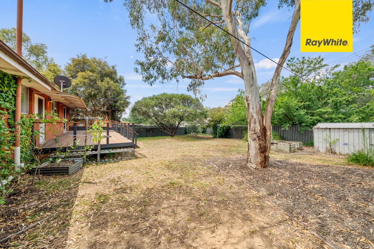 72 Carruthers Street, Curtin, ACT 2605 - House for Rent - Ray White ...