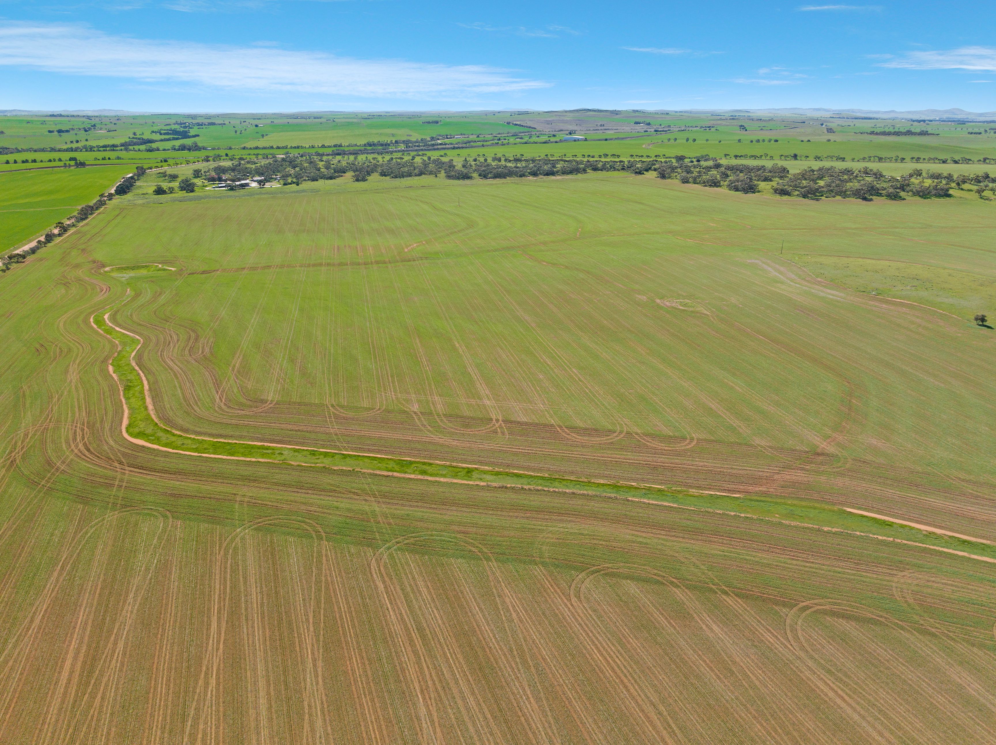 'Yangya' Powerline Road, Gladstone, SA 5473 - Sold Rural Cropping ...