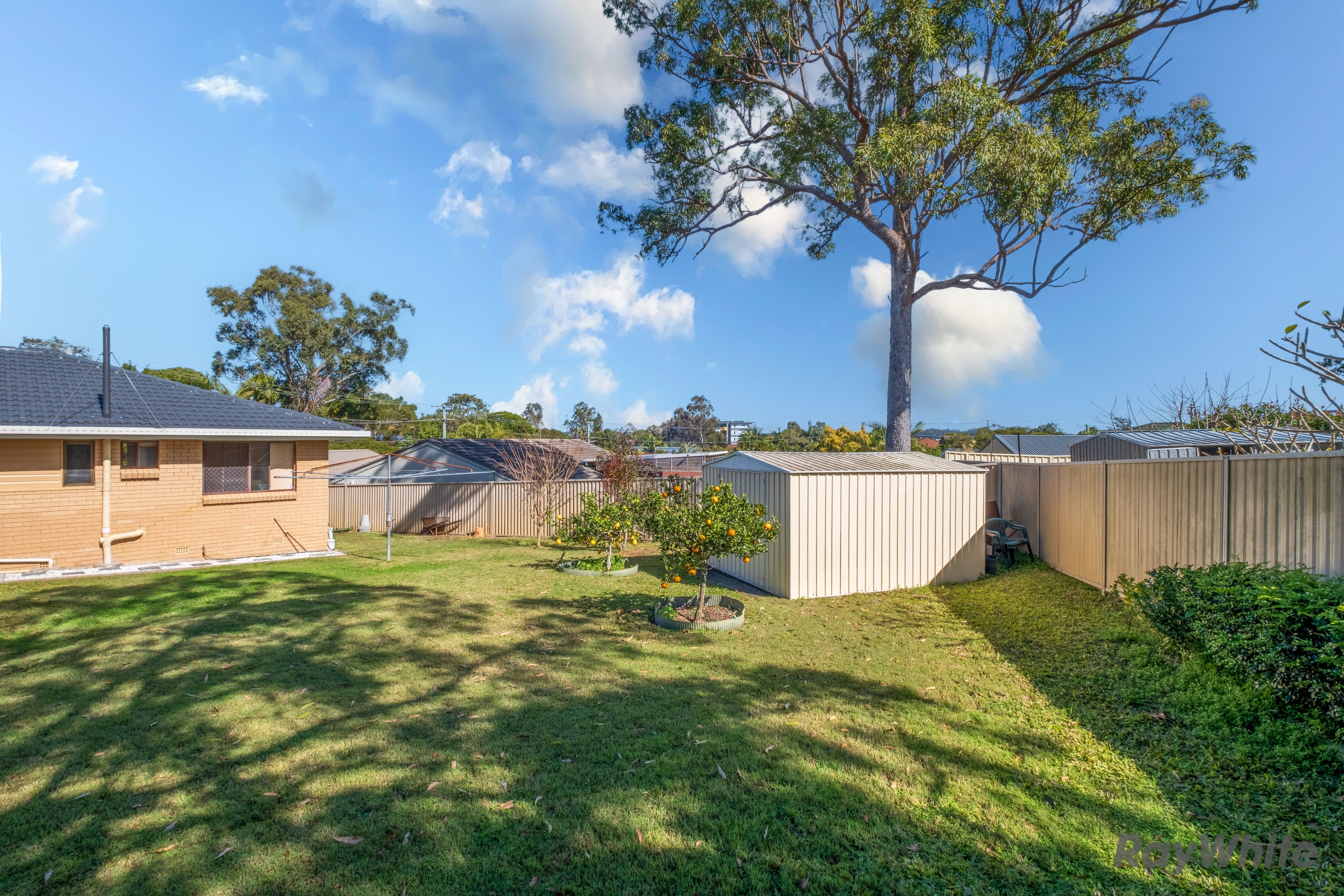8 Jacqueline Avenue, Springwood, QLD 4127 - Sold House - Ray White ...