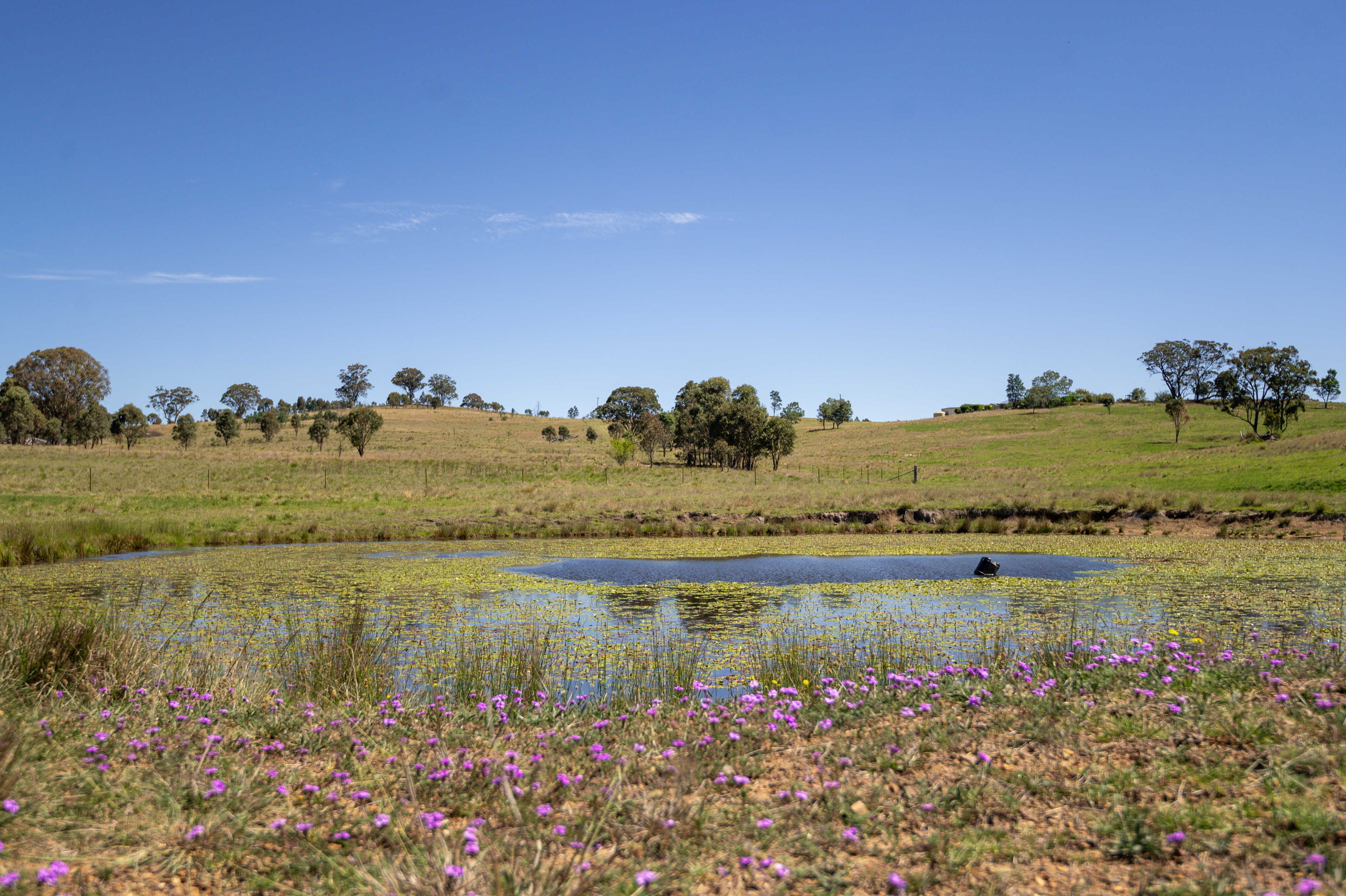4 Brown Road, Dalveen, QLD 4374 - Rural Lifestyle Property for Sale ...