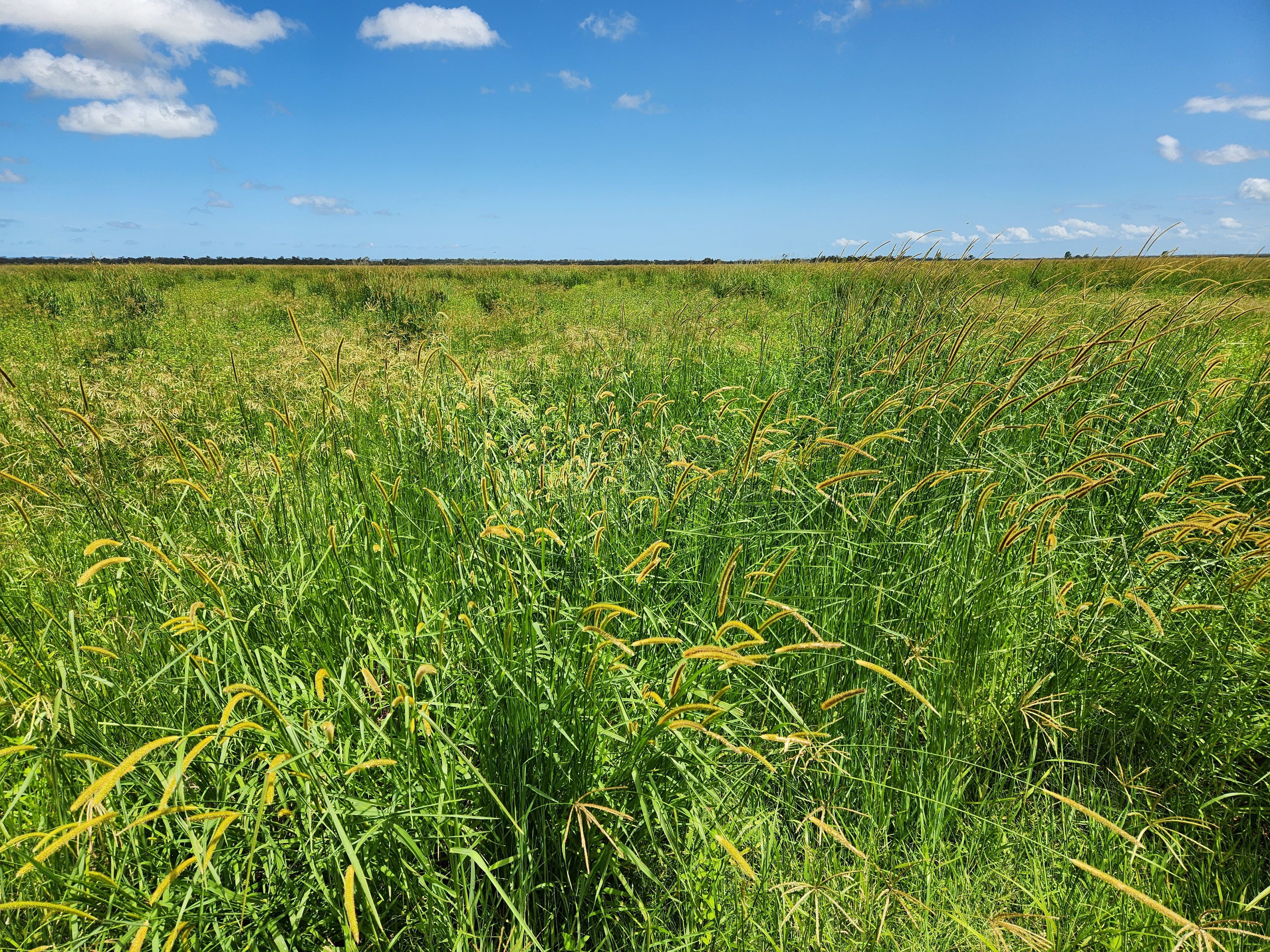 458 Dimond Road, BEAVER ROCK, Maryborough, QLD 4650 - Sold Rural ...