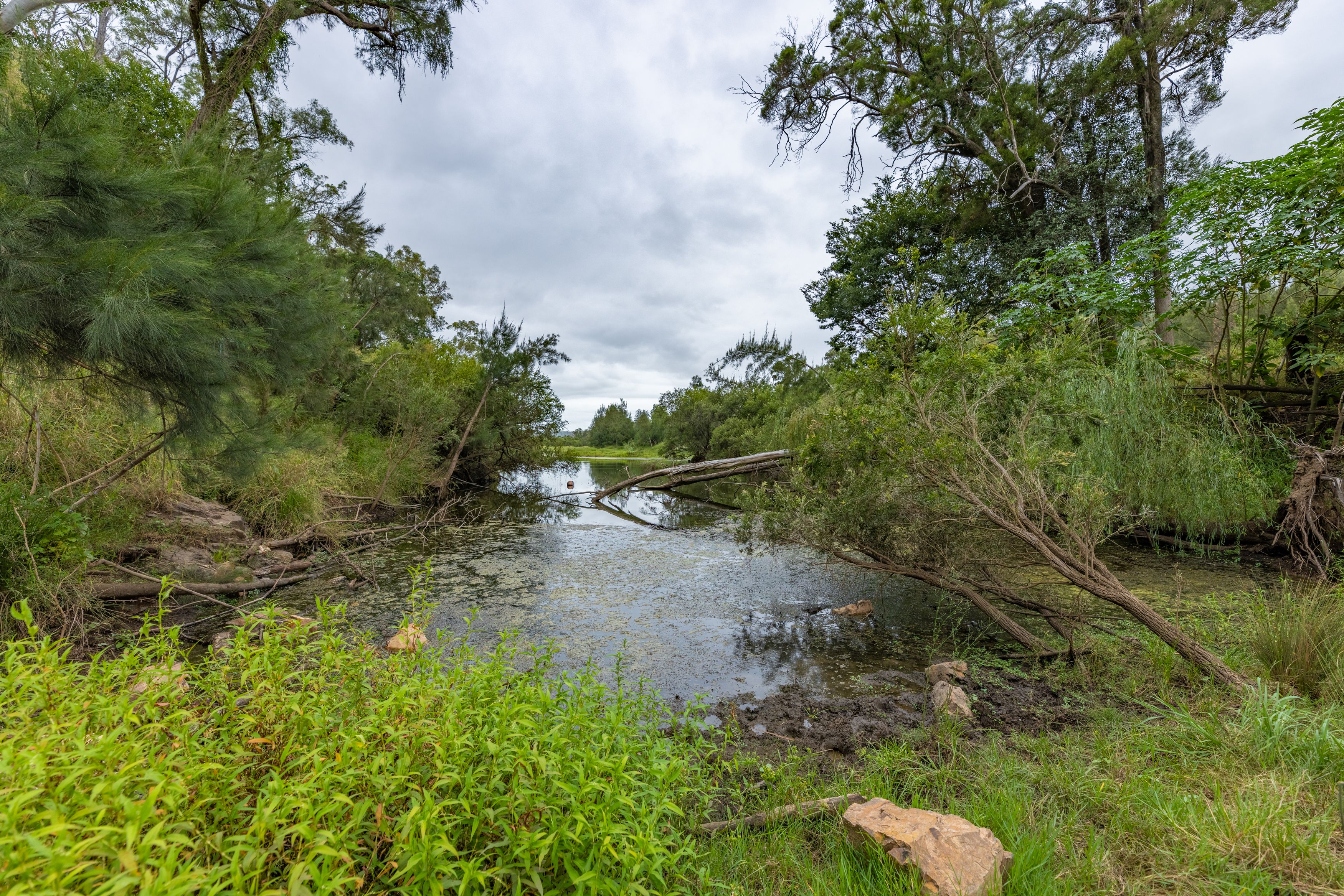 466 Glenhowden Road, Colinton, QLD 4314 - House for Sale - Ray White ...