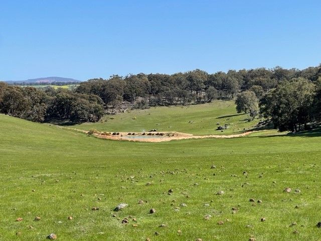 Ray White Rural (WA)