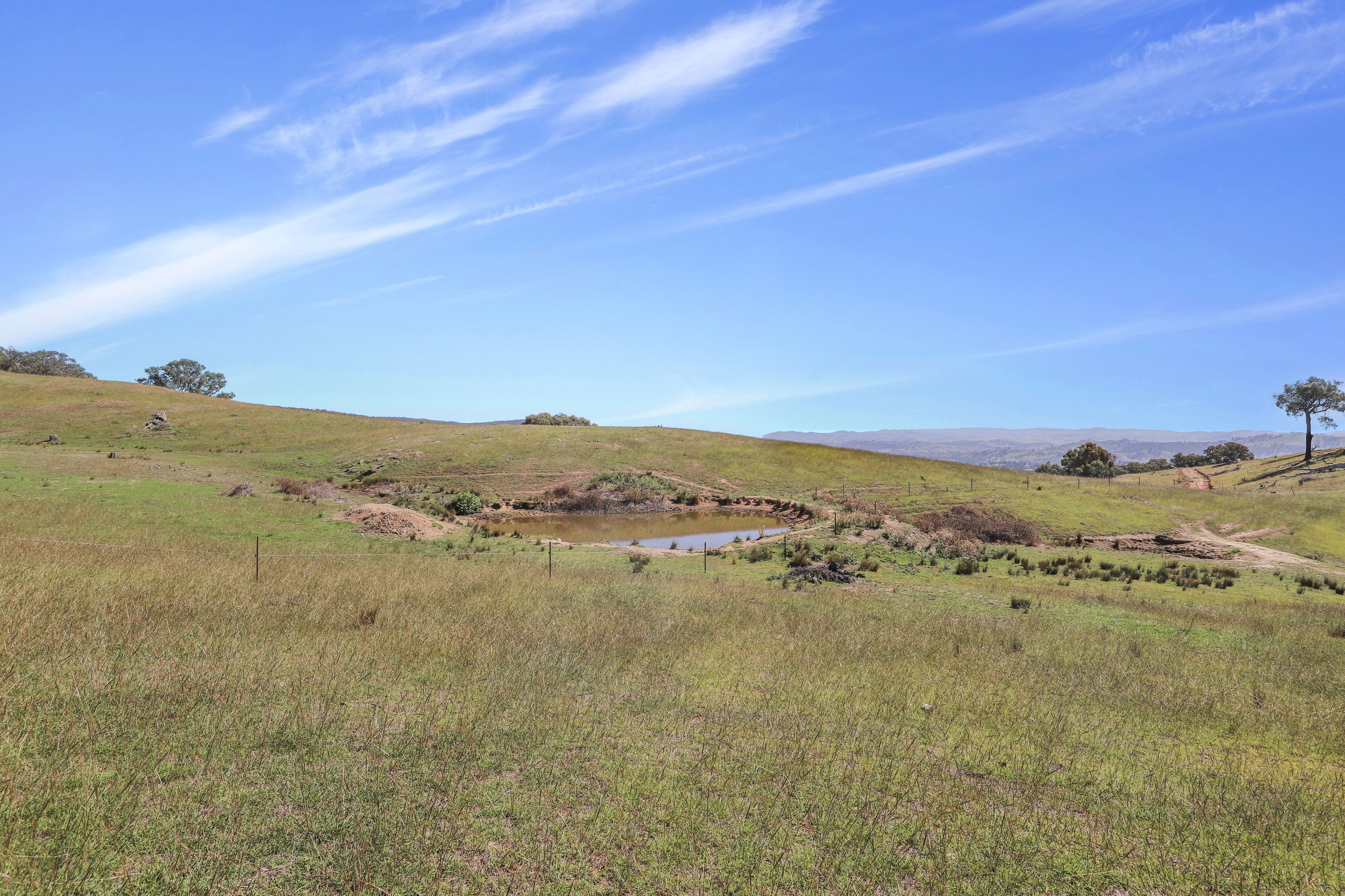 Part 1169 Grahamstown Road, Adelong, NSW 2729 - Rural Lifestyle ...