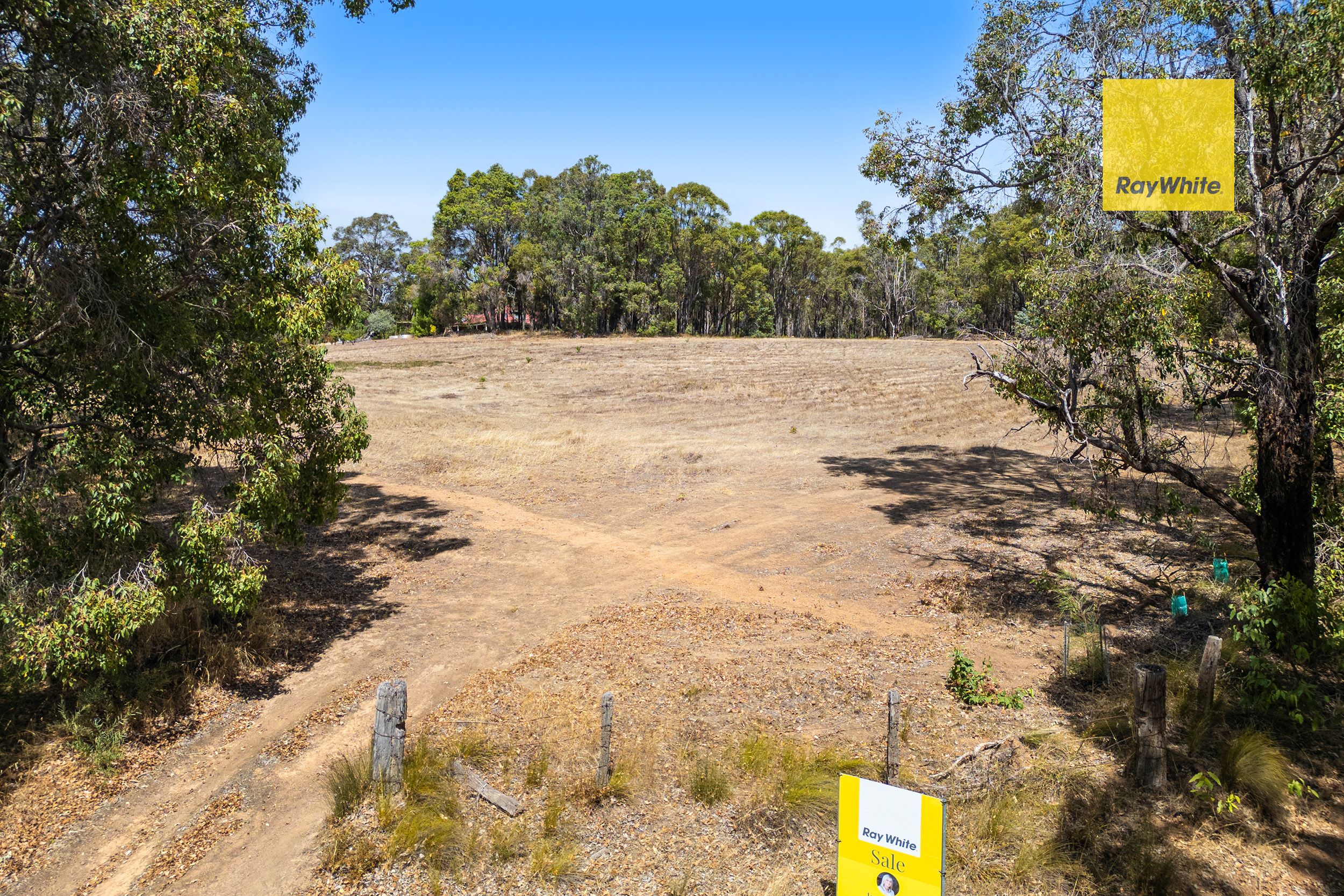 Ray White Stocker Preston