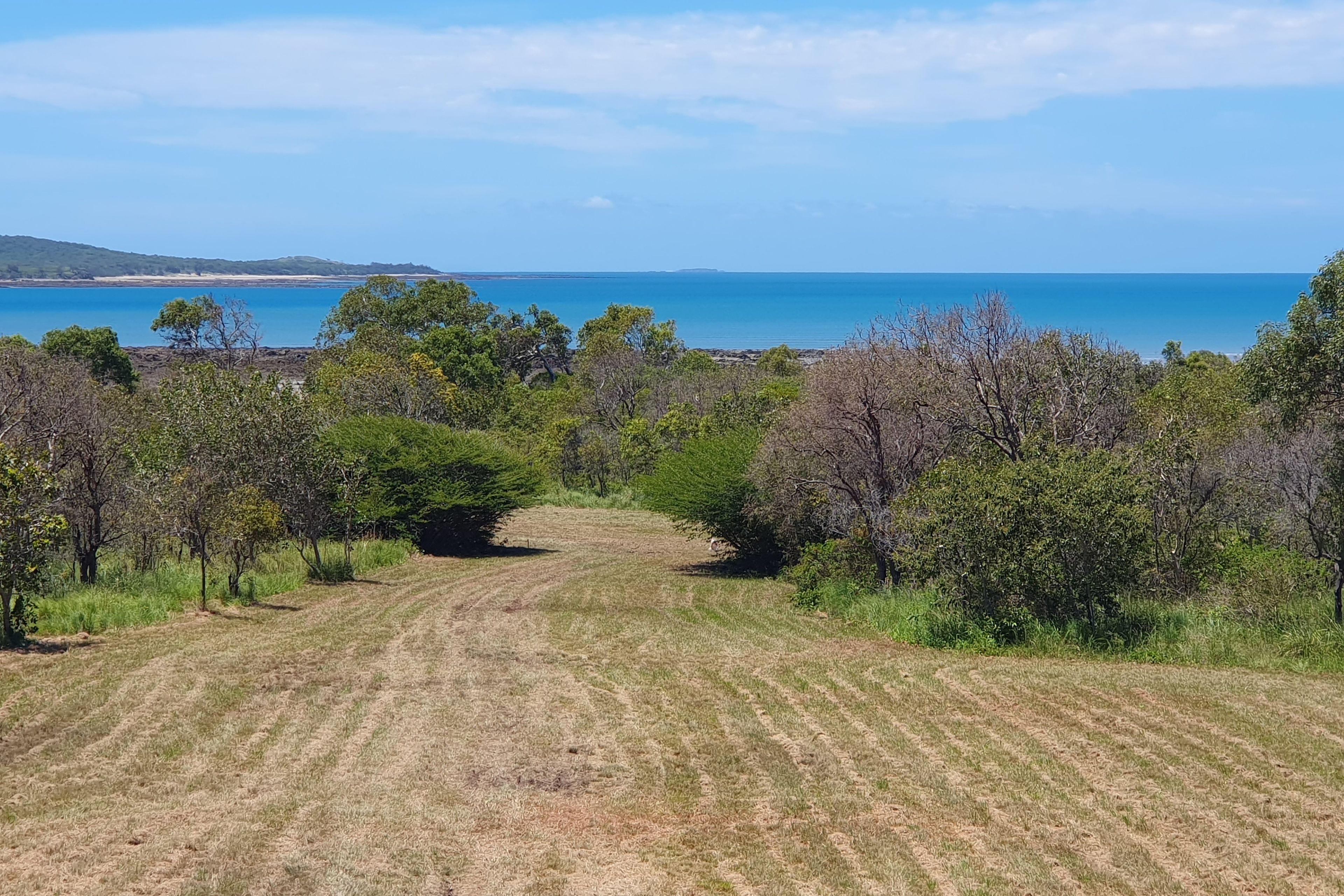 Ilbilbie, QLD 4738 - Sold House - Ray White Springfield | Springfield Lakes