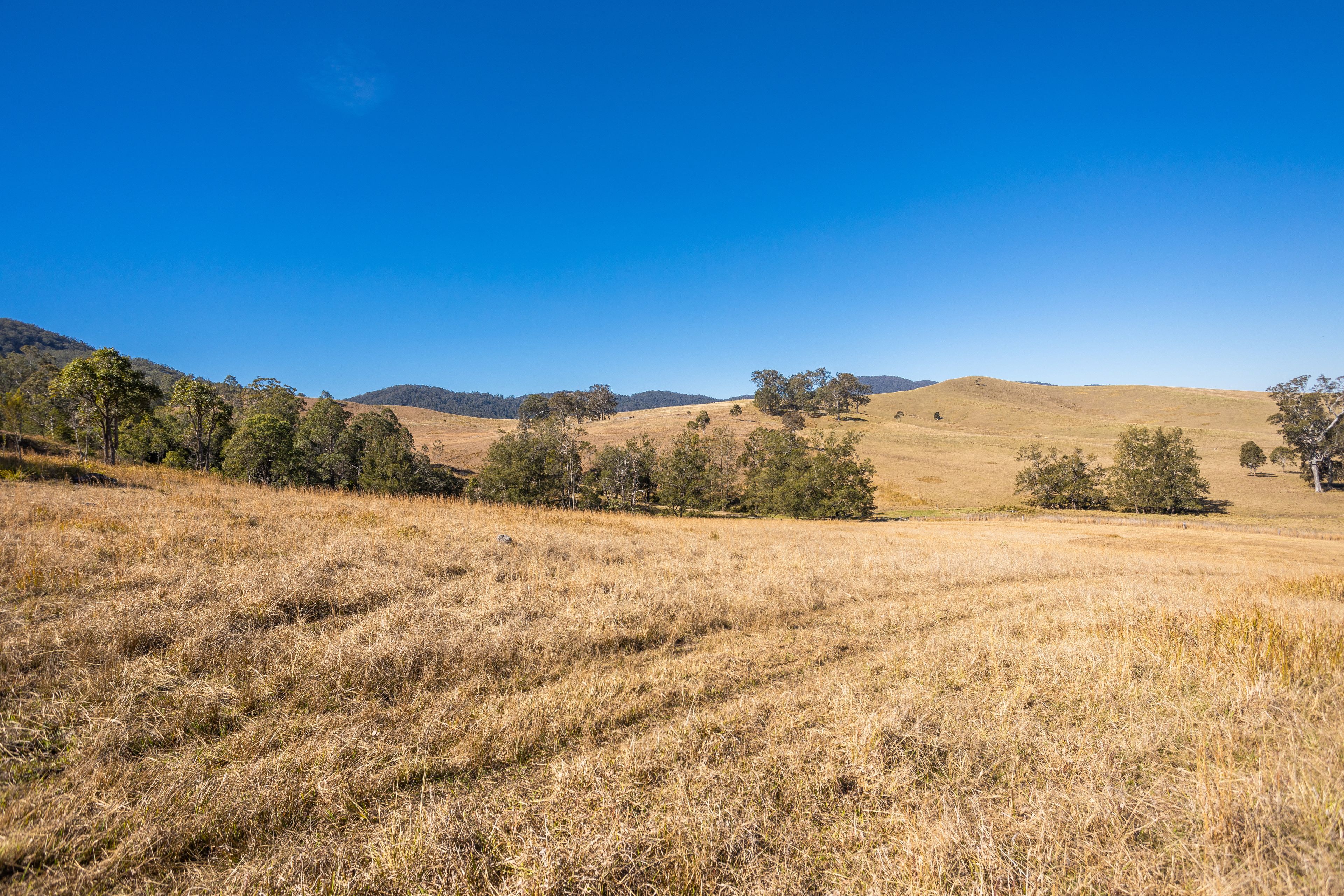 2677 Scone Road, Cobark, NSW 2422 - Sold Rural Property - Ray White ...