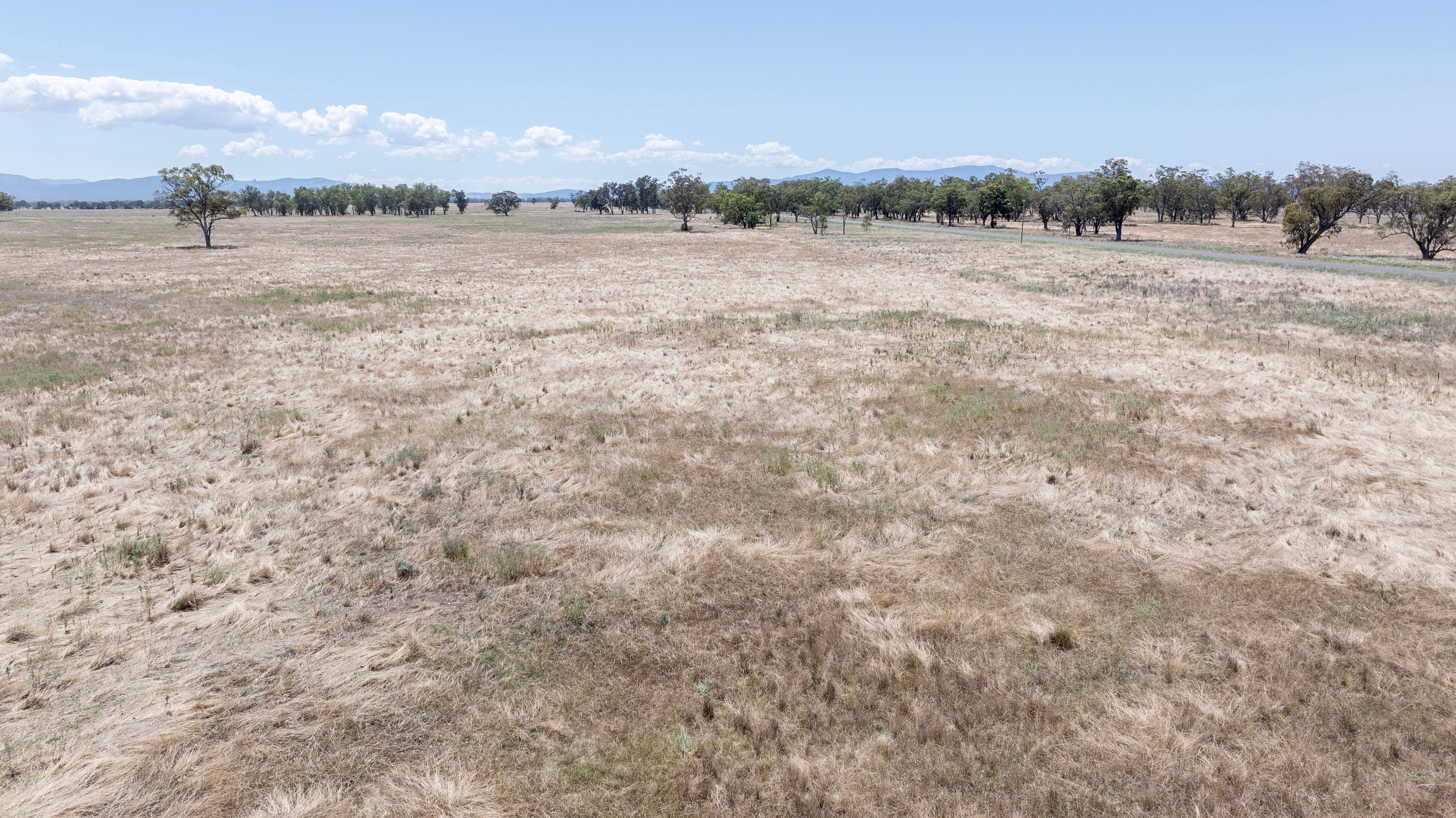 Boggabri, NSW 2382 - Commercial Farming for Lease - Ray White Fleming ...