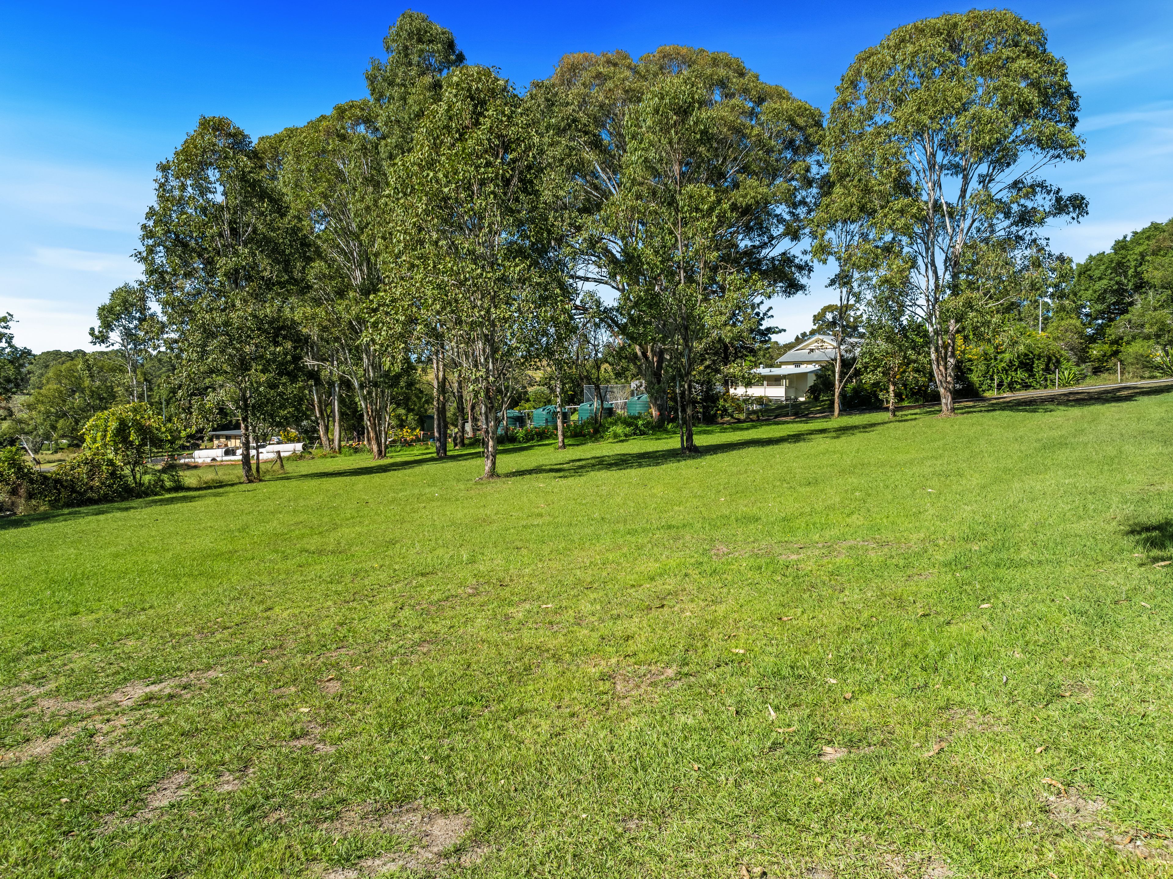 44 Allison Street, Drake, NSW 2469 - Sold House - Ray White Casino | Kyogle