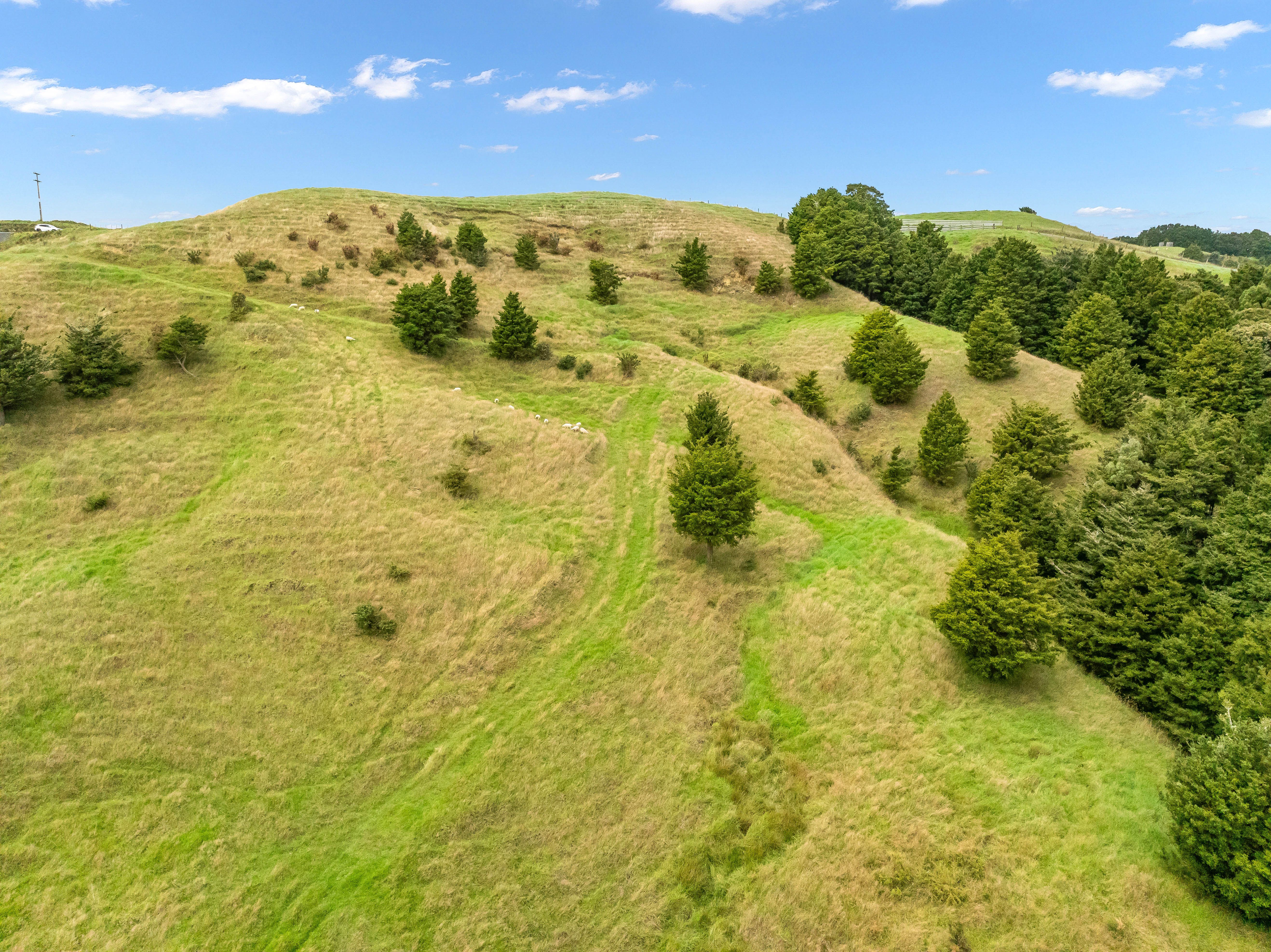 0 Hayward Road, Maungakaramea, Whangarei District 0146 - Lifestyle ...