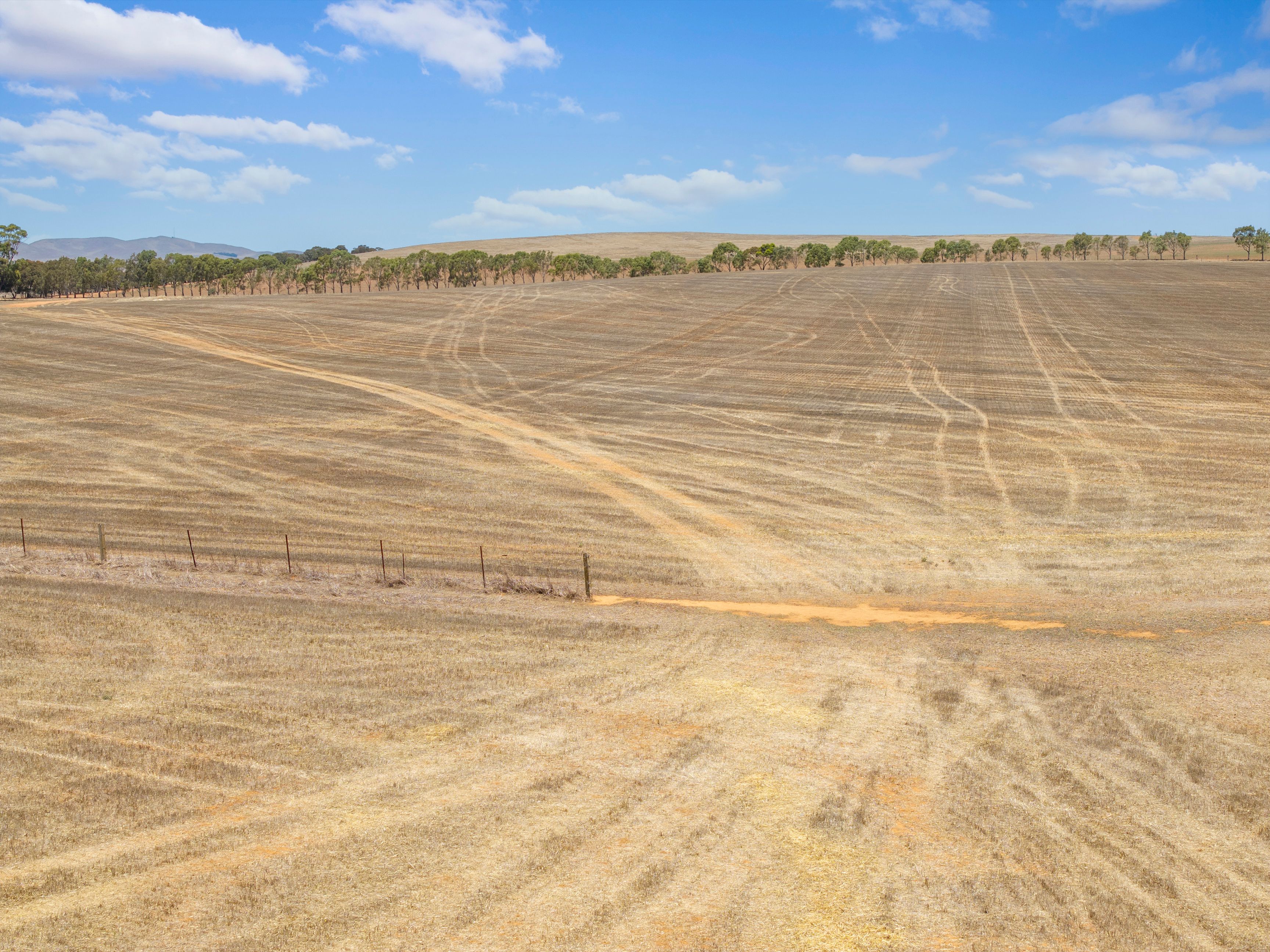 'Richards' & 'Beckwiths', MOUNT BRYAN, SA 5418 - Sold Rural Cropping ...