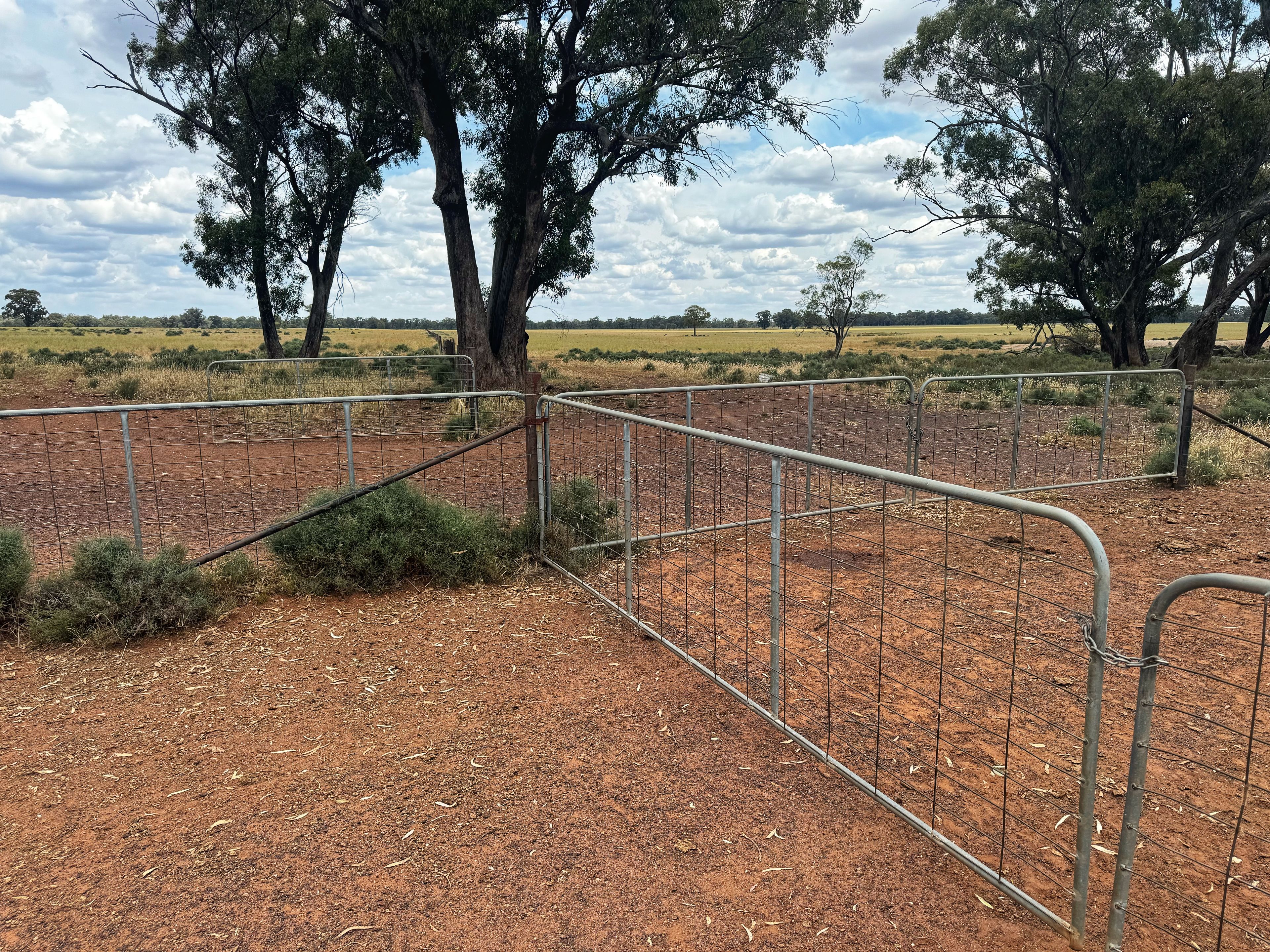 1 Adavale Lane, Trundle, NSW 2875 - Rural Cropping Property for Sale ...