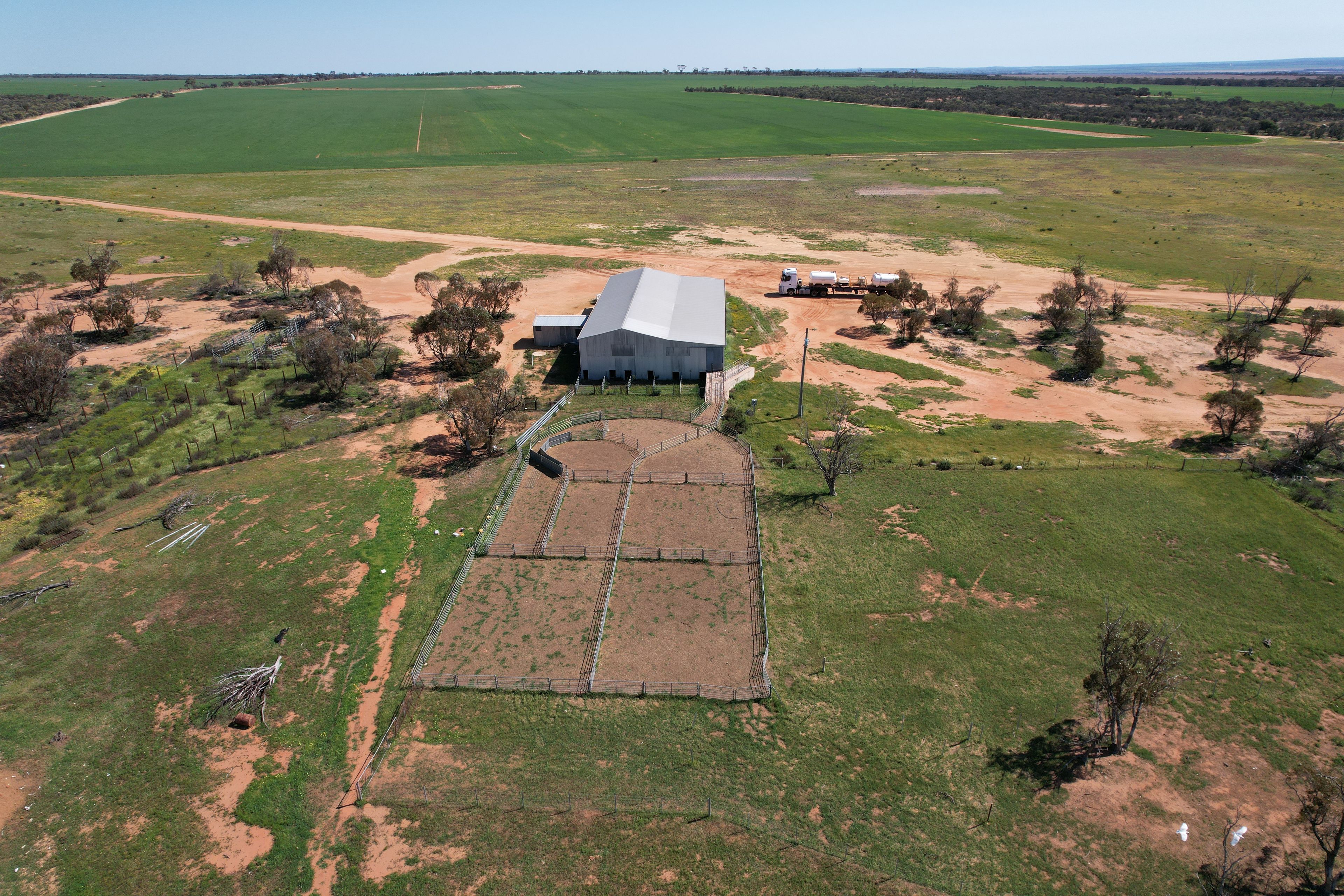Lakeview Aggregation, North Bodallin, WA 6424 - Rural Cropping Property ...