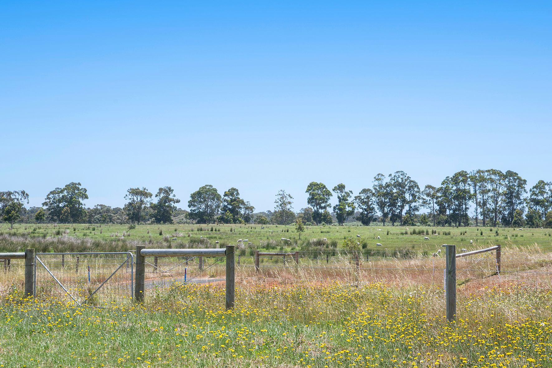 19 Felling Road, Karridale, WA 6288 - Land for Sale - Ray White Stocker ...