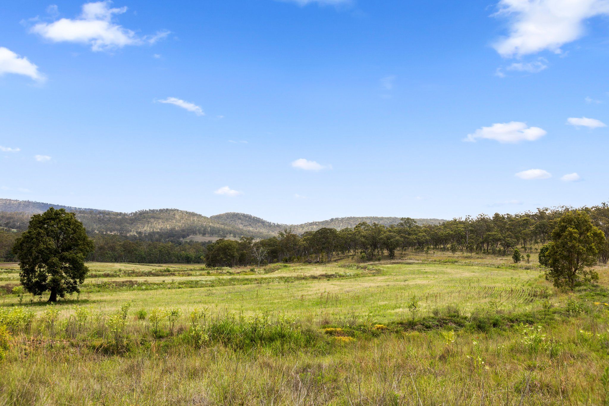1719 Pilton Valley Road, Clifton, QLD 4361 - Sold Rural Mixed Farming ...