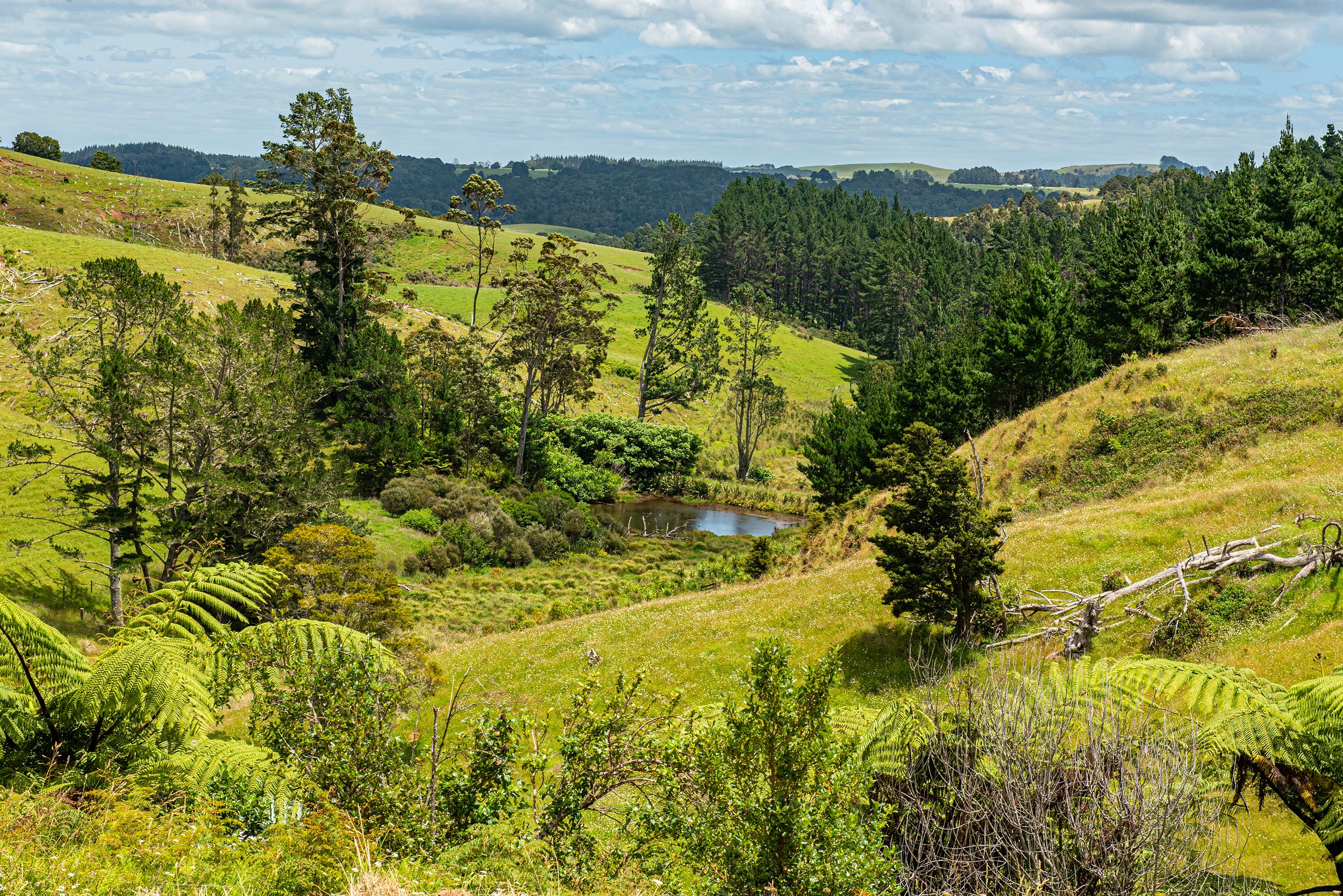 1403 Russell Road, Helena Bay, Whangarei District 0184 - Lifestyle ...