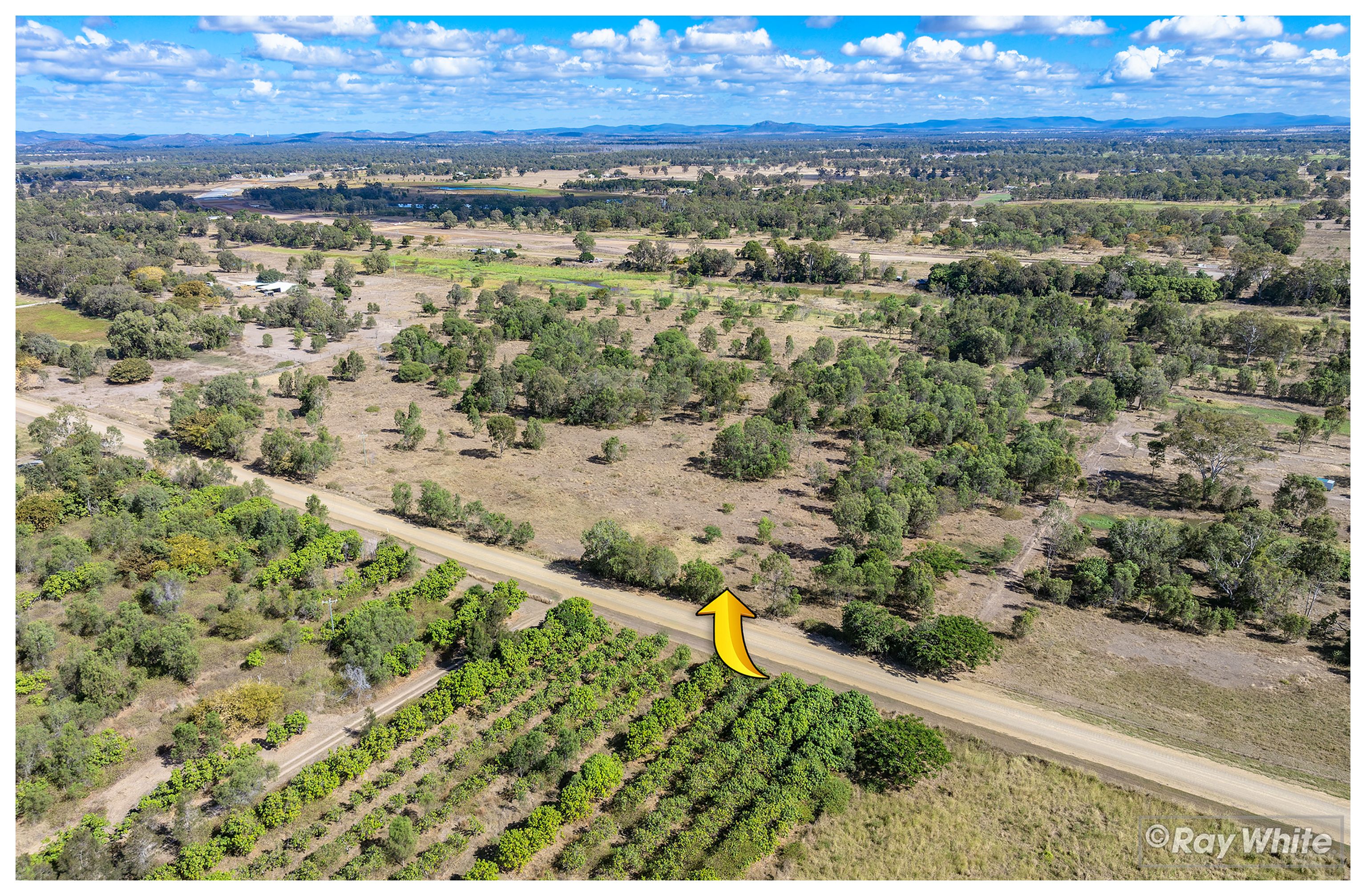 222 Edmistone Road, Pink Lily, QLD 4702 - Land for Sale - Ray White ...