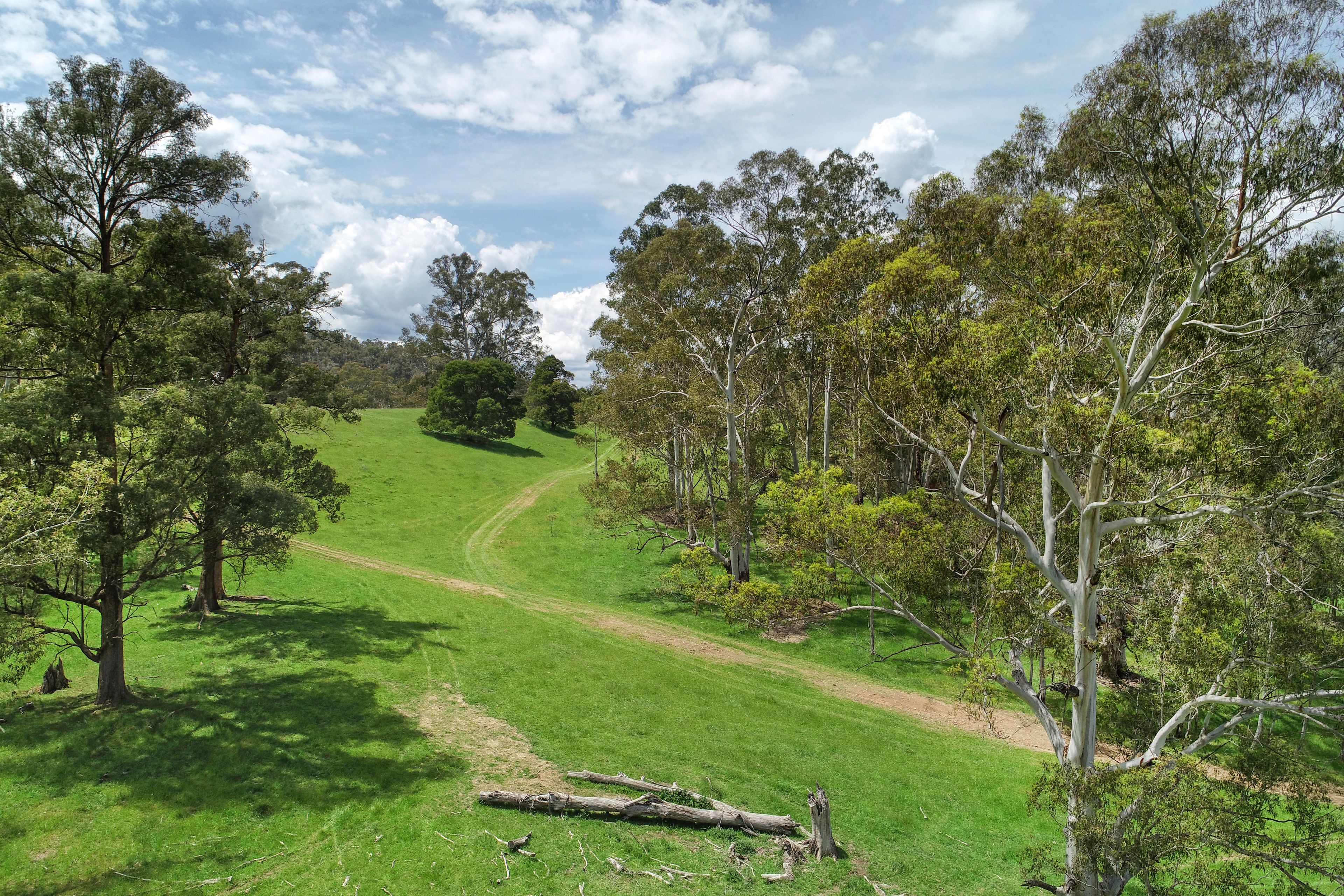 Lot 12 61 Spring Street, Howqua Hills, VIC 3723 - Land for Sale - Team ...