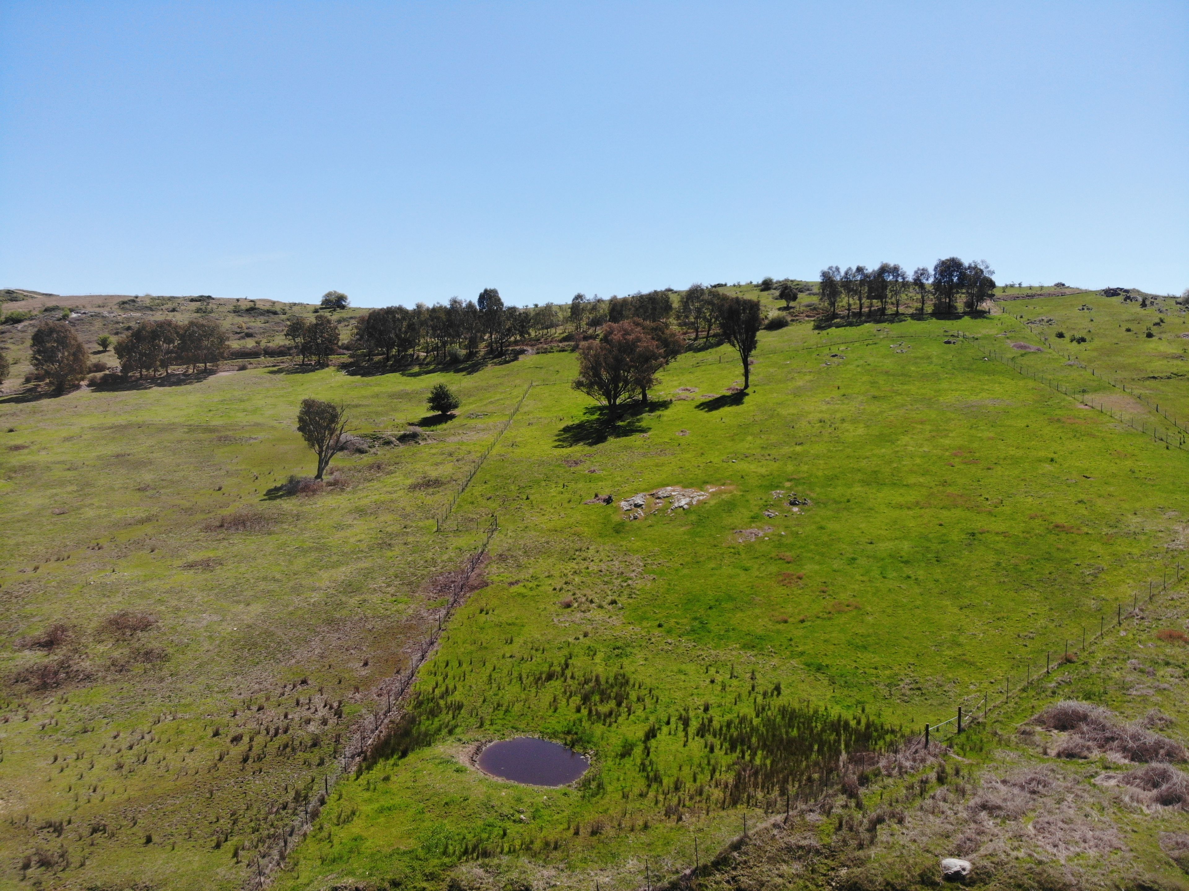 Lot 852 & 545 757211 Golden Gully Road, Adelong, NSW 2729 - Land for ...