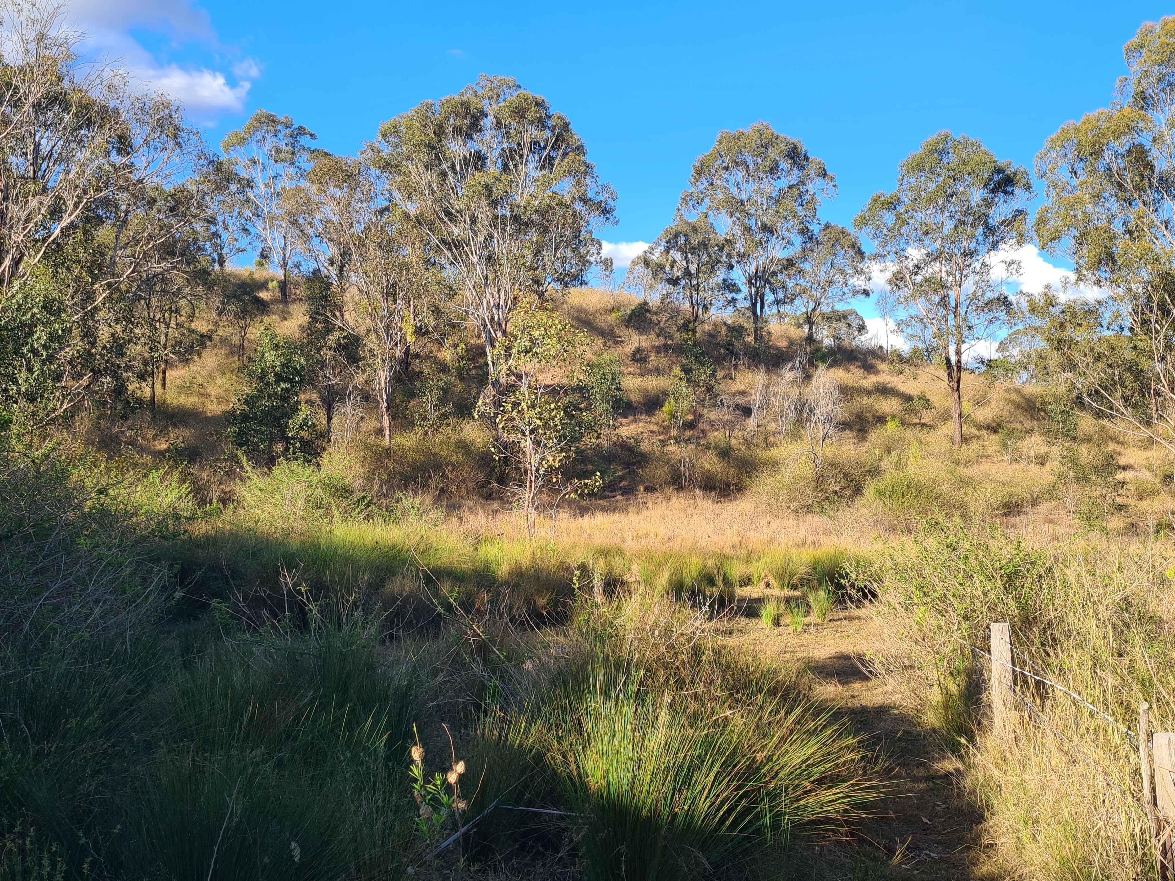 00 Cooyar Kooralgin Road, Cooyar, QLD 4402 - Sold Rural Lifestyle ...