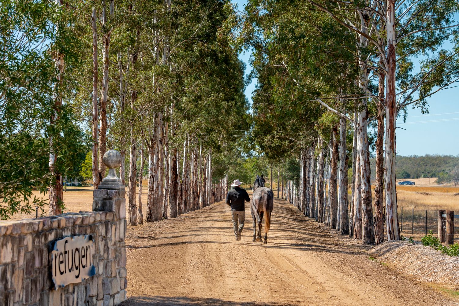 2 Hubner Road, Forest Hill, QLD 4342 - Sold Acreage/Semi-Rural - Ray ...