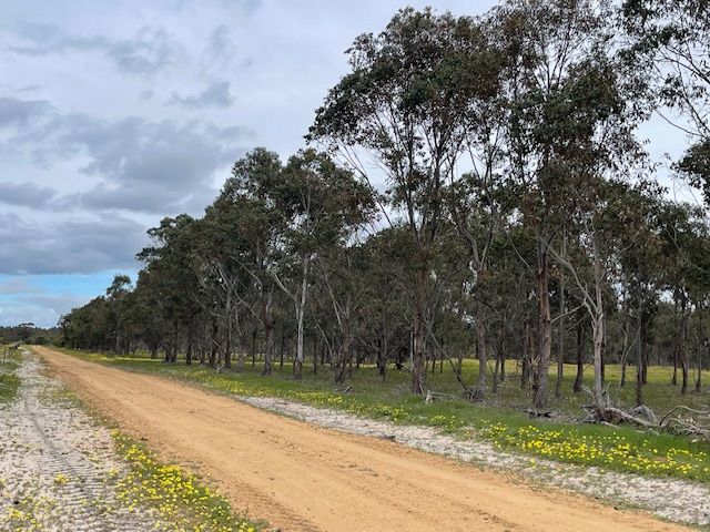 Ray White Rural (WA)