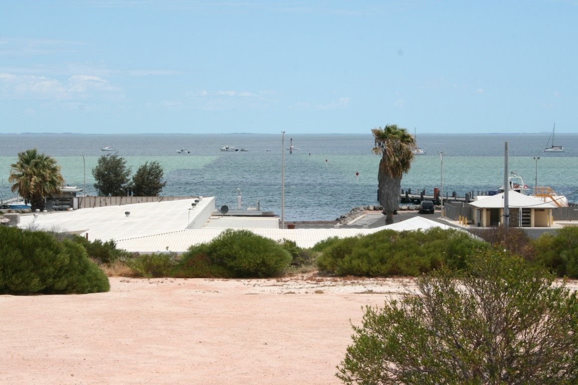 Ray White Shark Bay