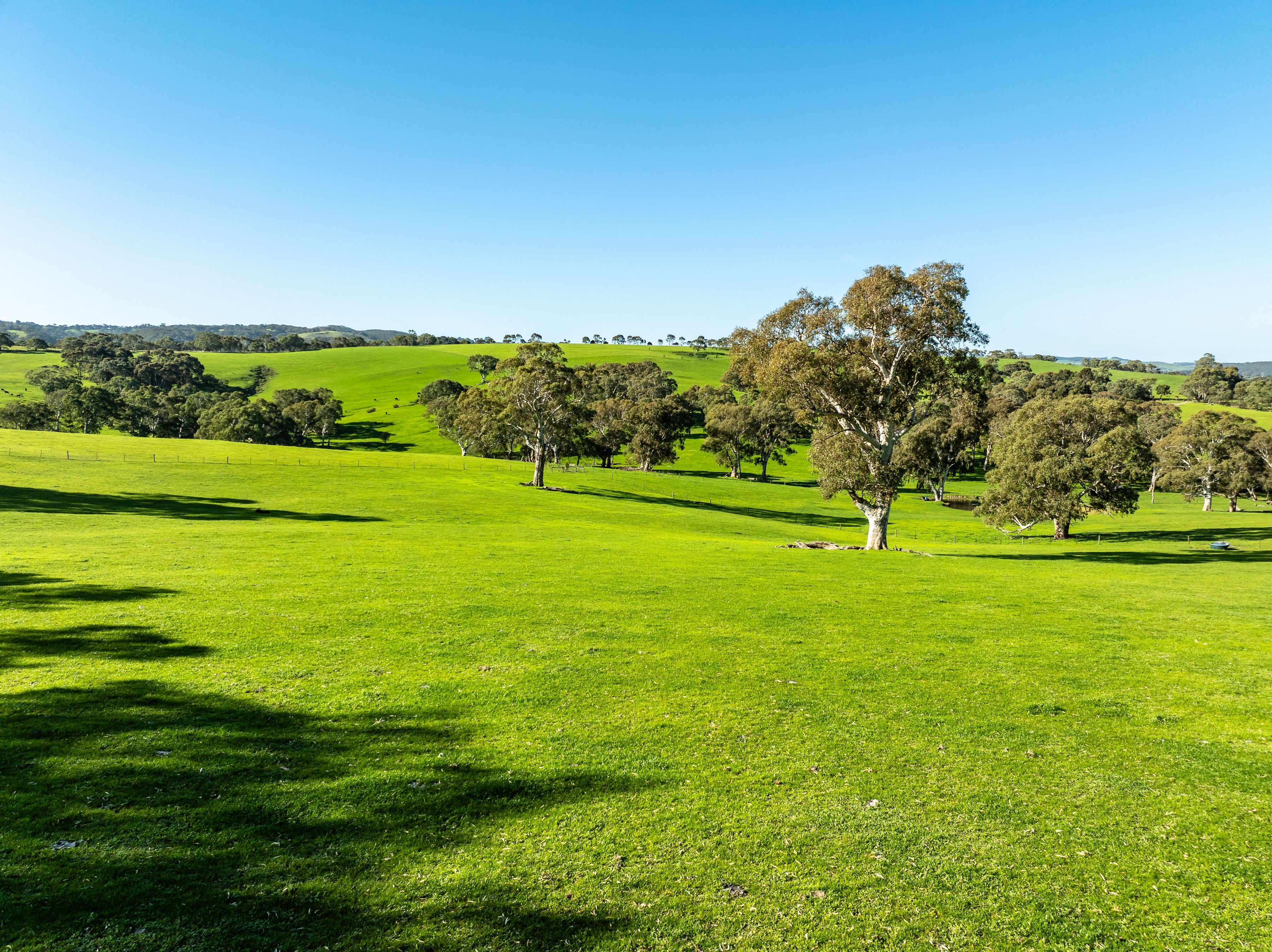 31 Hurrel Road, Inman Valley, SA 5211 - Sold Rural Mixed Farming ...