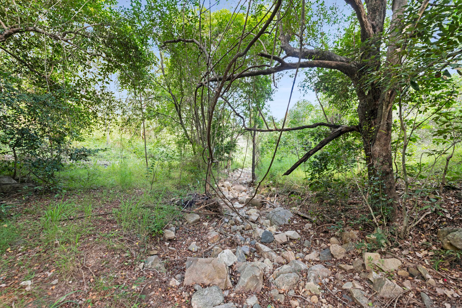 Lot 1 Campbells Road, Boolboonda, QLD 4671 - Sold Land - Ray White ...
