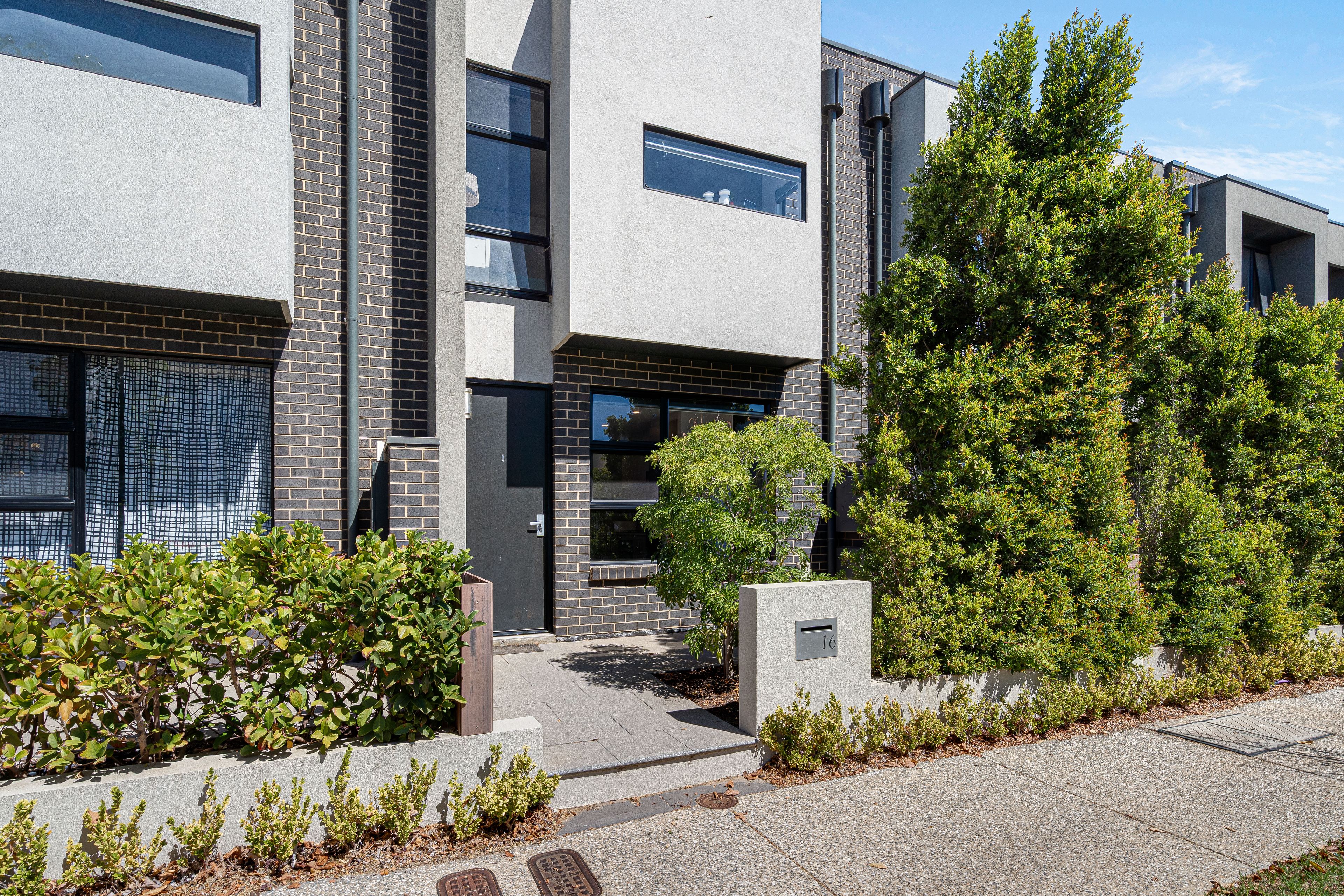 Ray White Prospect