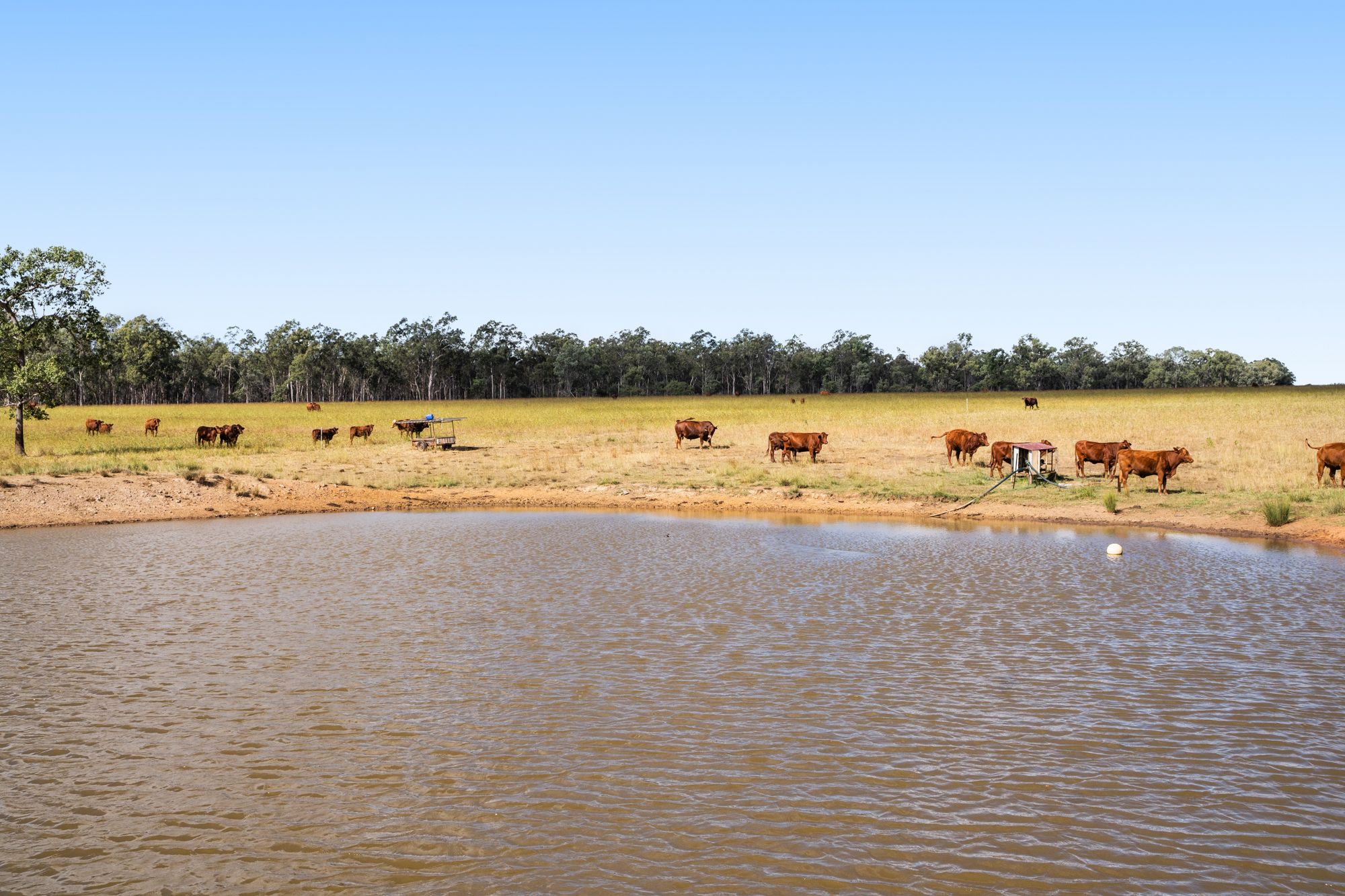 "Opportunity Knocking" - 375 Duffs Boundary Road, Durong, QLD 4610 ...