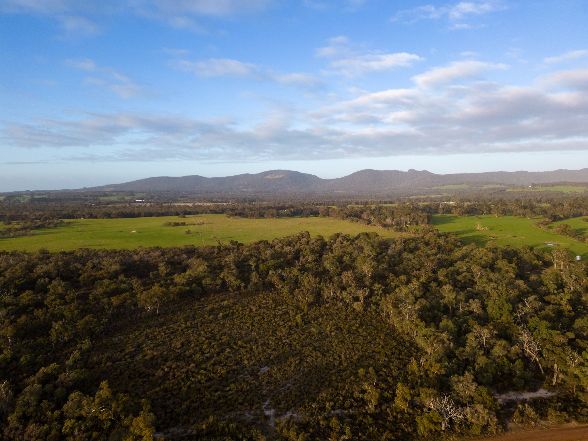 Ray White Rural (WA)