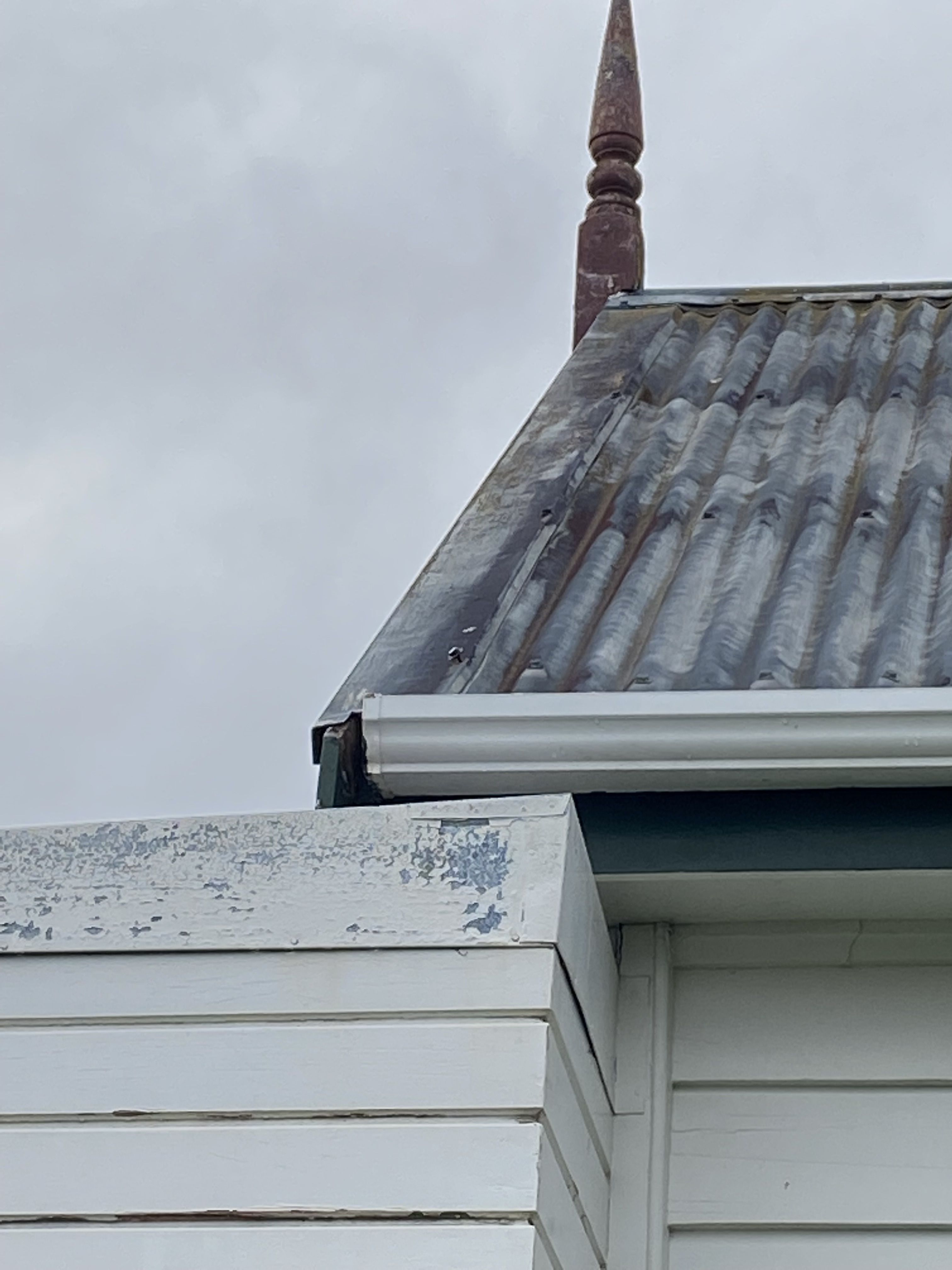 , Te Puke, – Home For Rent • Ray White New Zealand