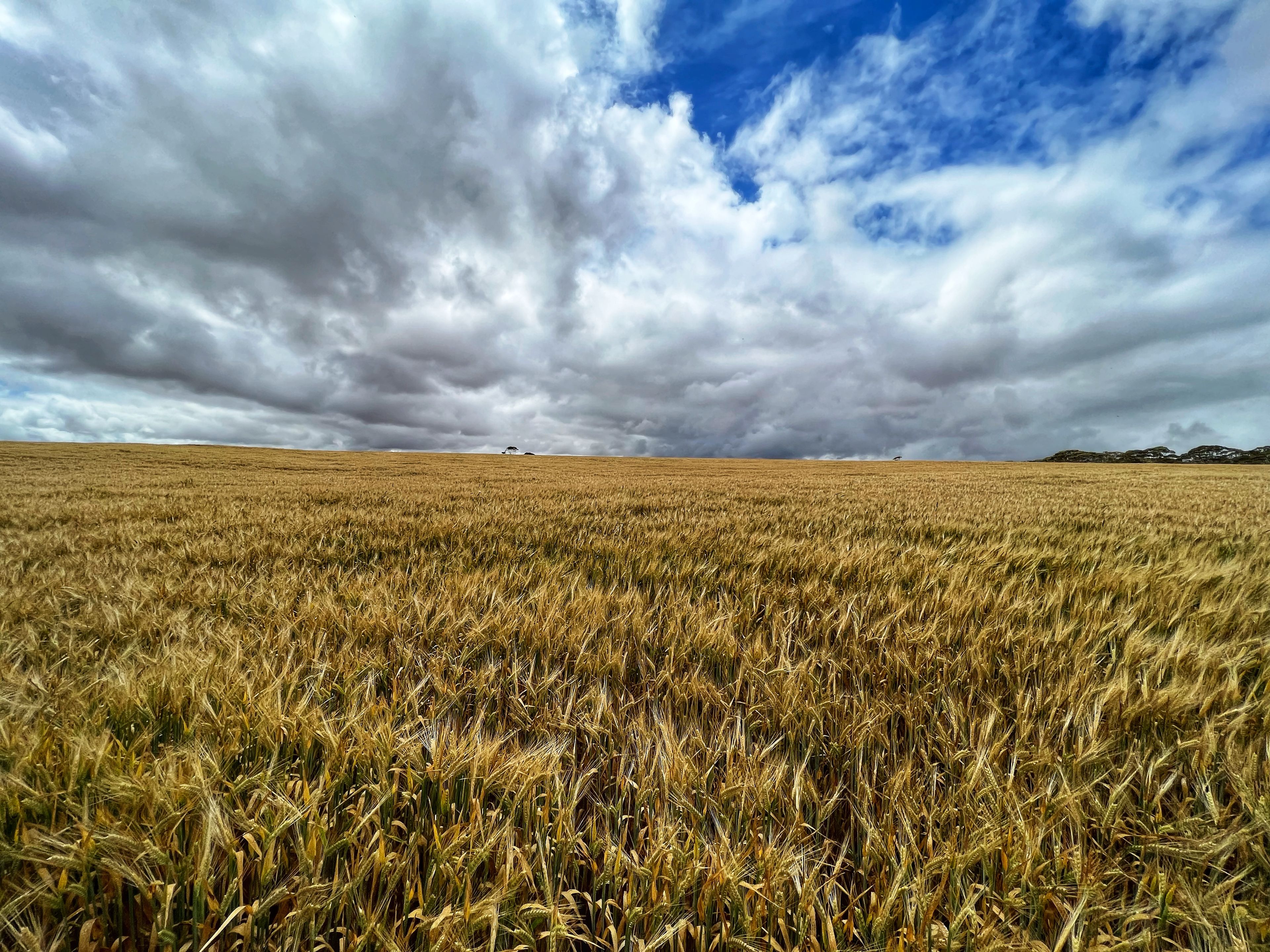 "GLENWARRI" - 678 East Road, Pingrup, WA 6343 - Sold Rural Mixed ...