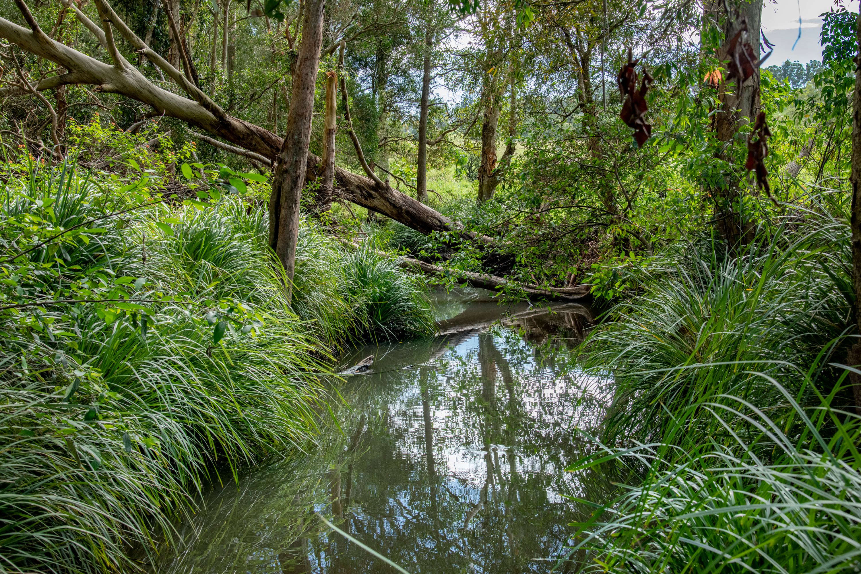 "Bailey's Ridge" - 534 - 558 West Mount Cotton Road, Mount Cotton, QLD ...
