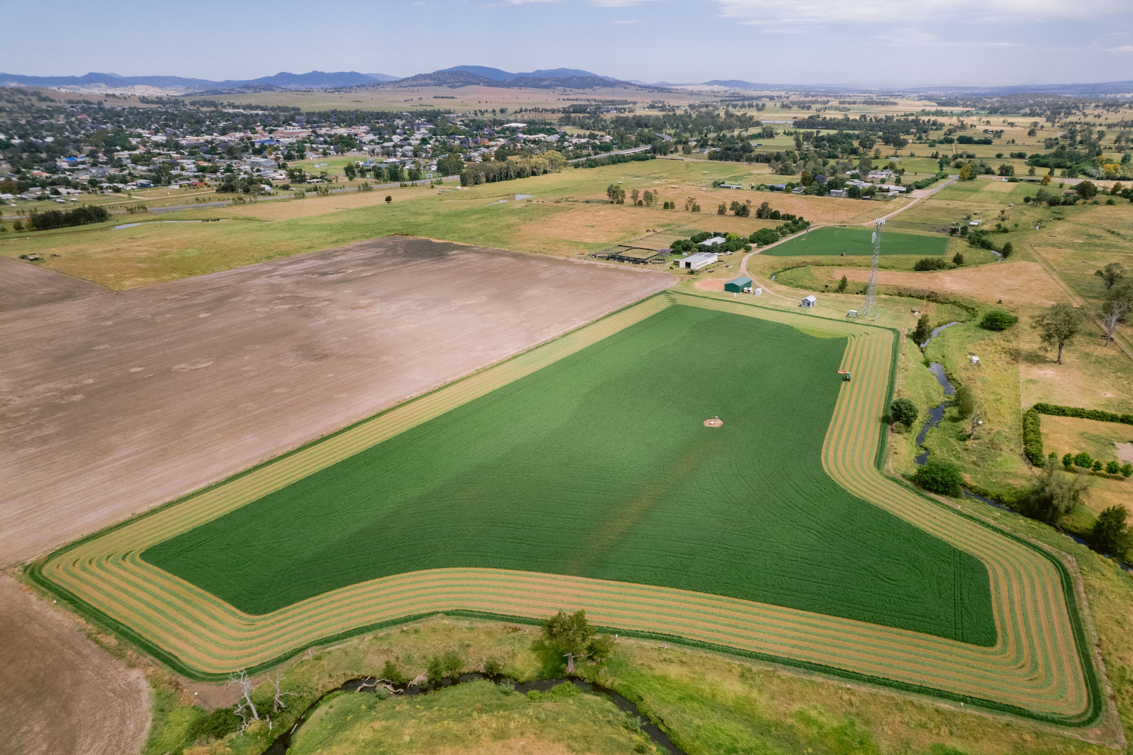 Ray White Rural Scone | Coolah